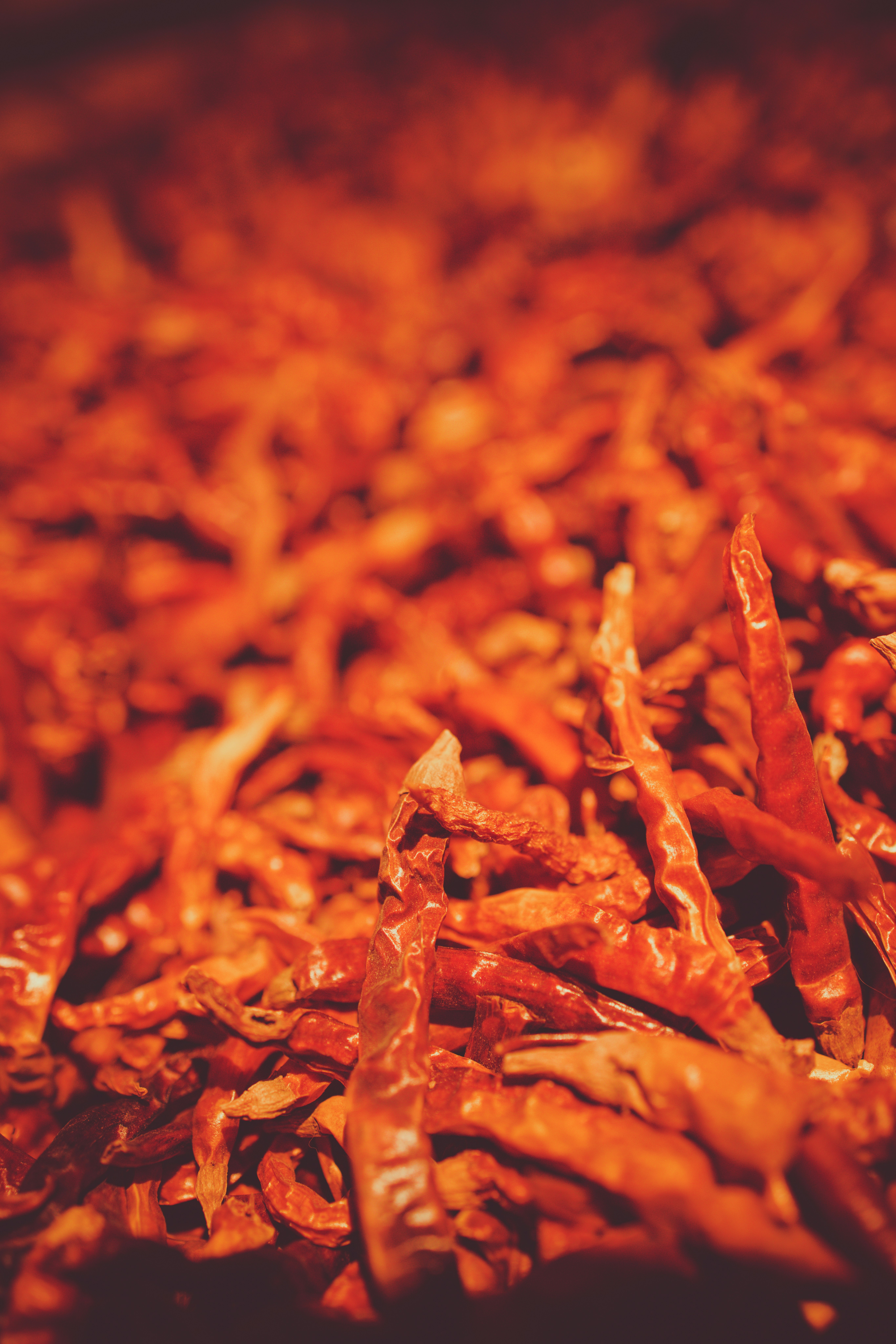 Dried red chili peppers fill the frame. photo – Free Red Image on Unsplash