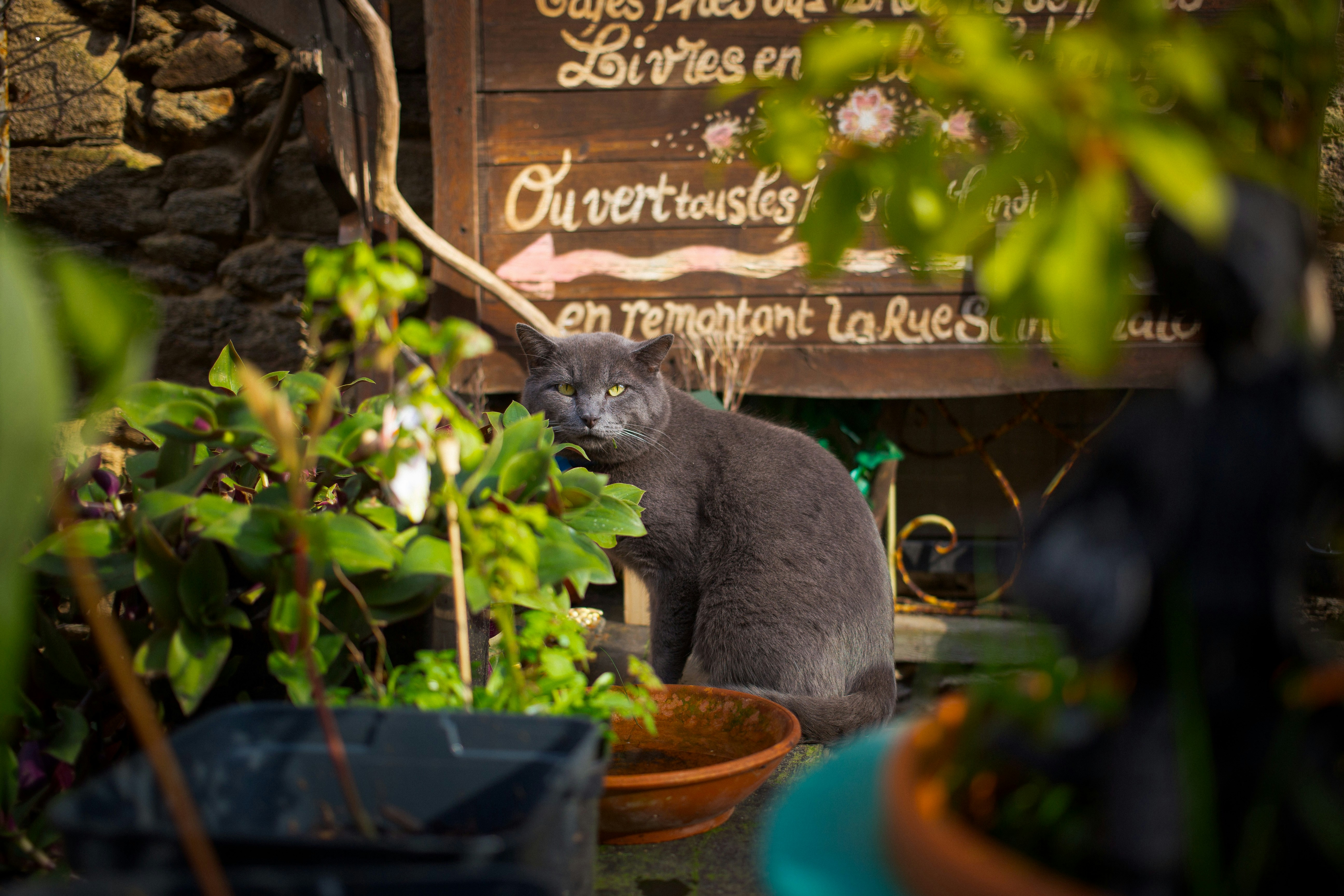 Photo by Guilhem Dupit with Canon EOS 6D