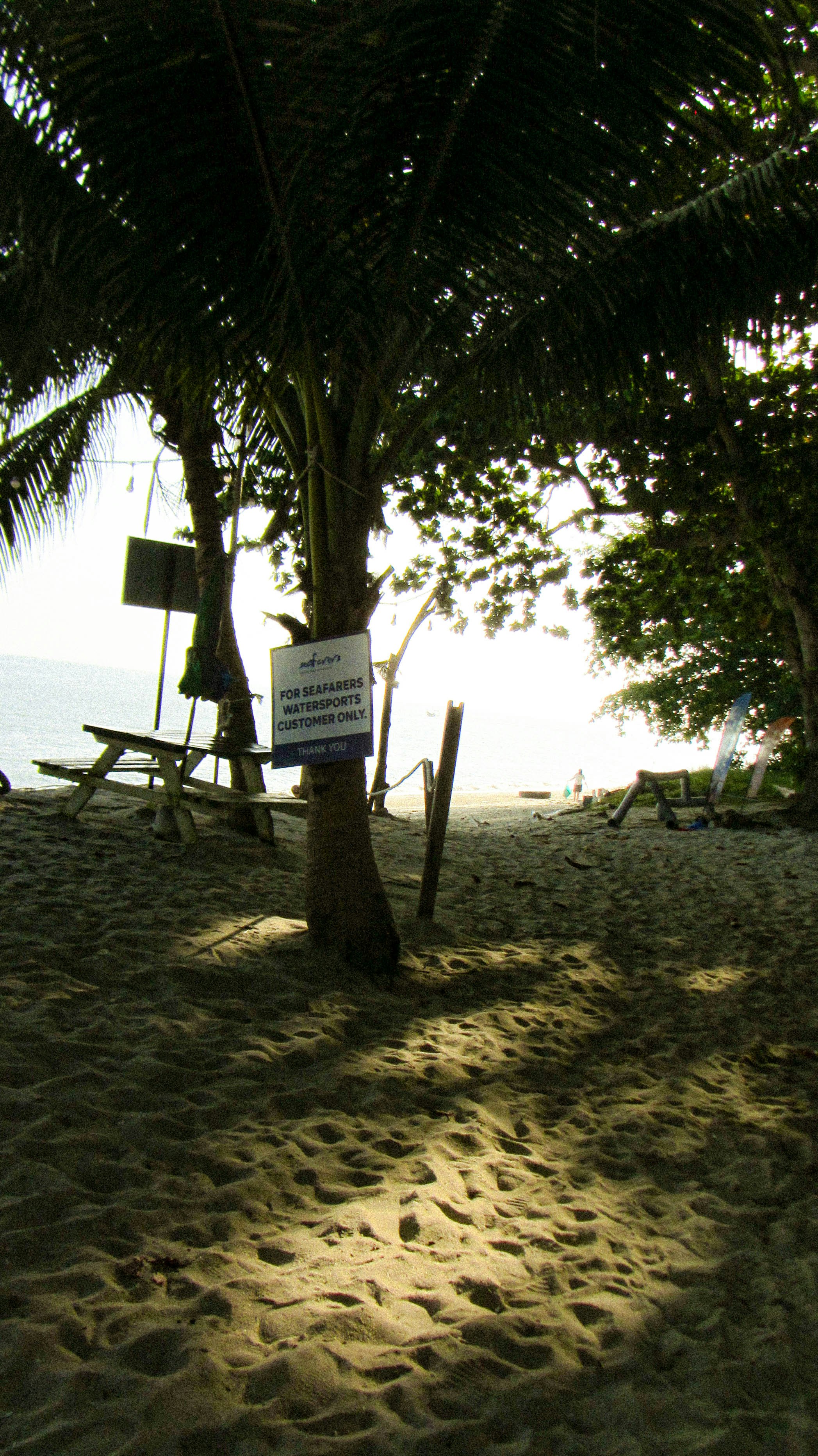 Beach scene with palm trees and a sign mounted on a tree near a picnic bench. The textured sand and distant sea create a calm beach atmosphere.