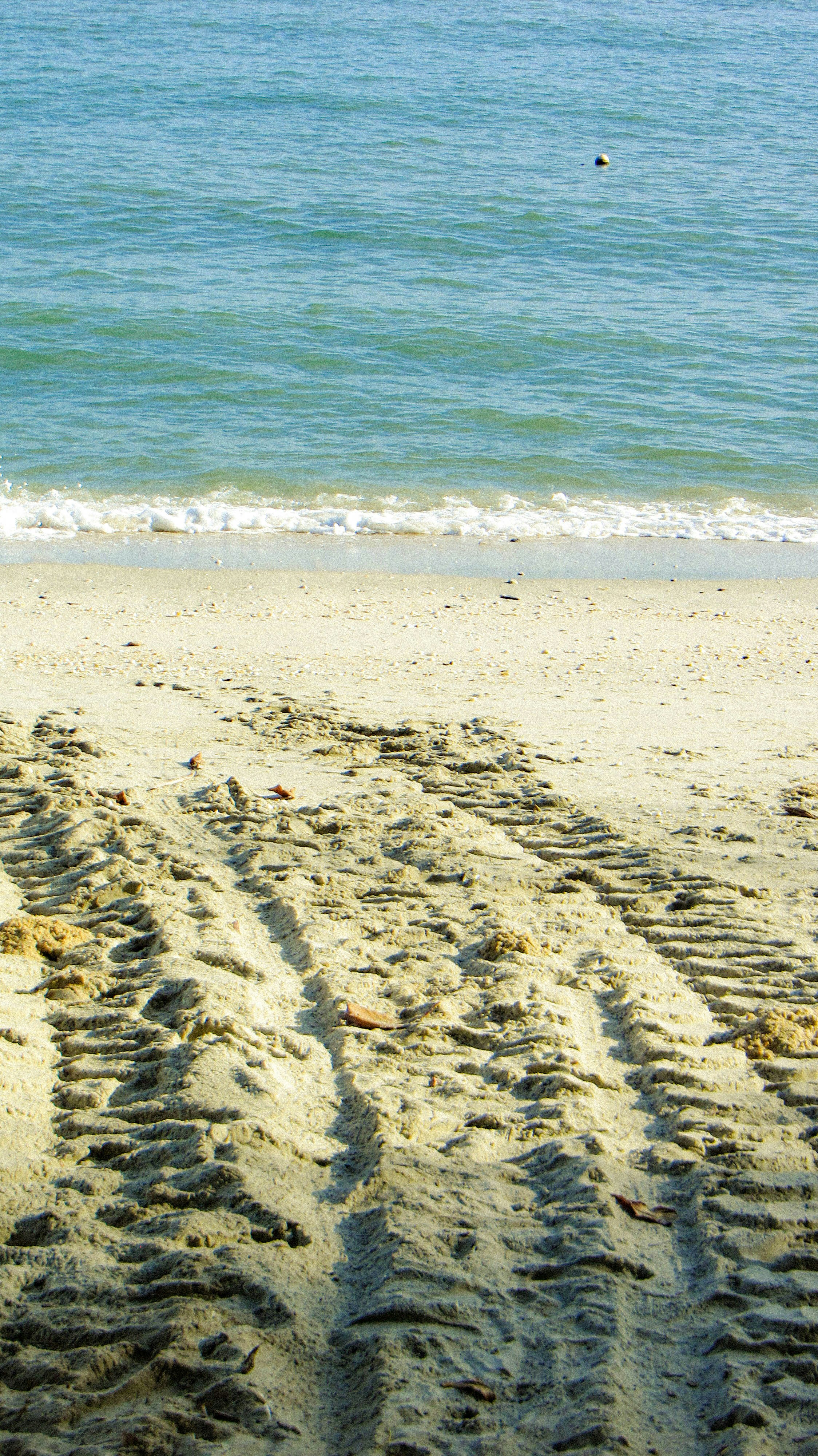 Parallel Tracks Toward a Quiet Sea