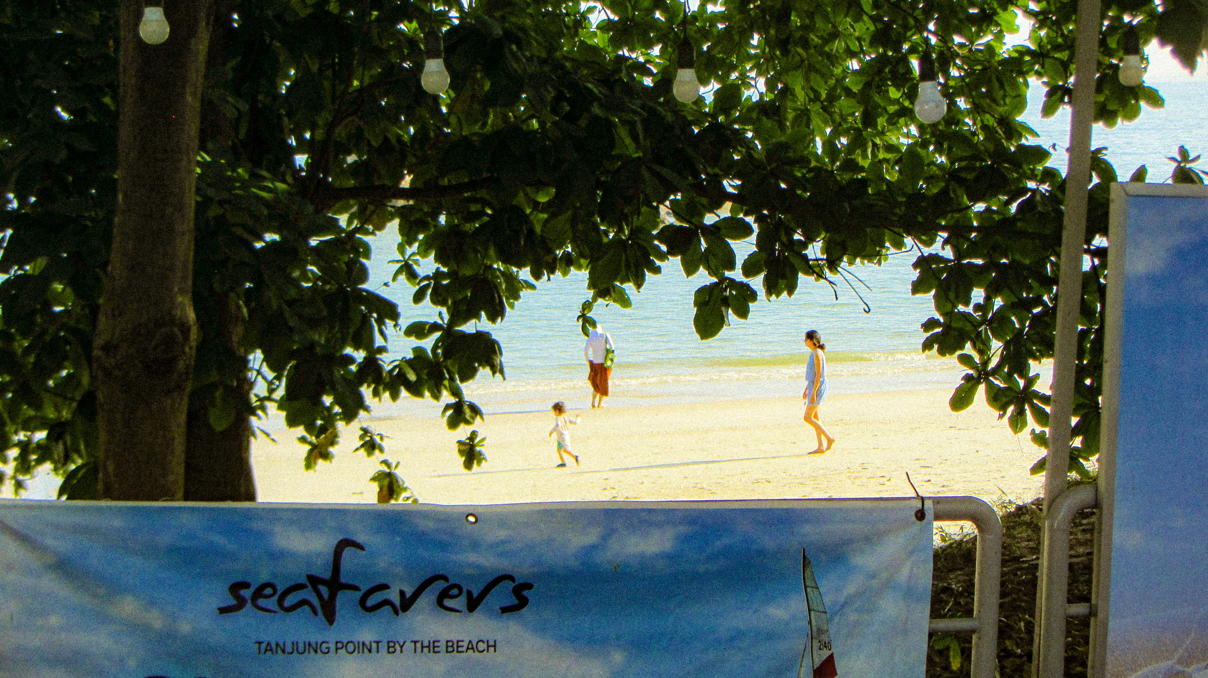 Leafy Archway Over a Quiet Beach Stroll
