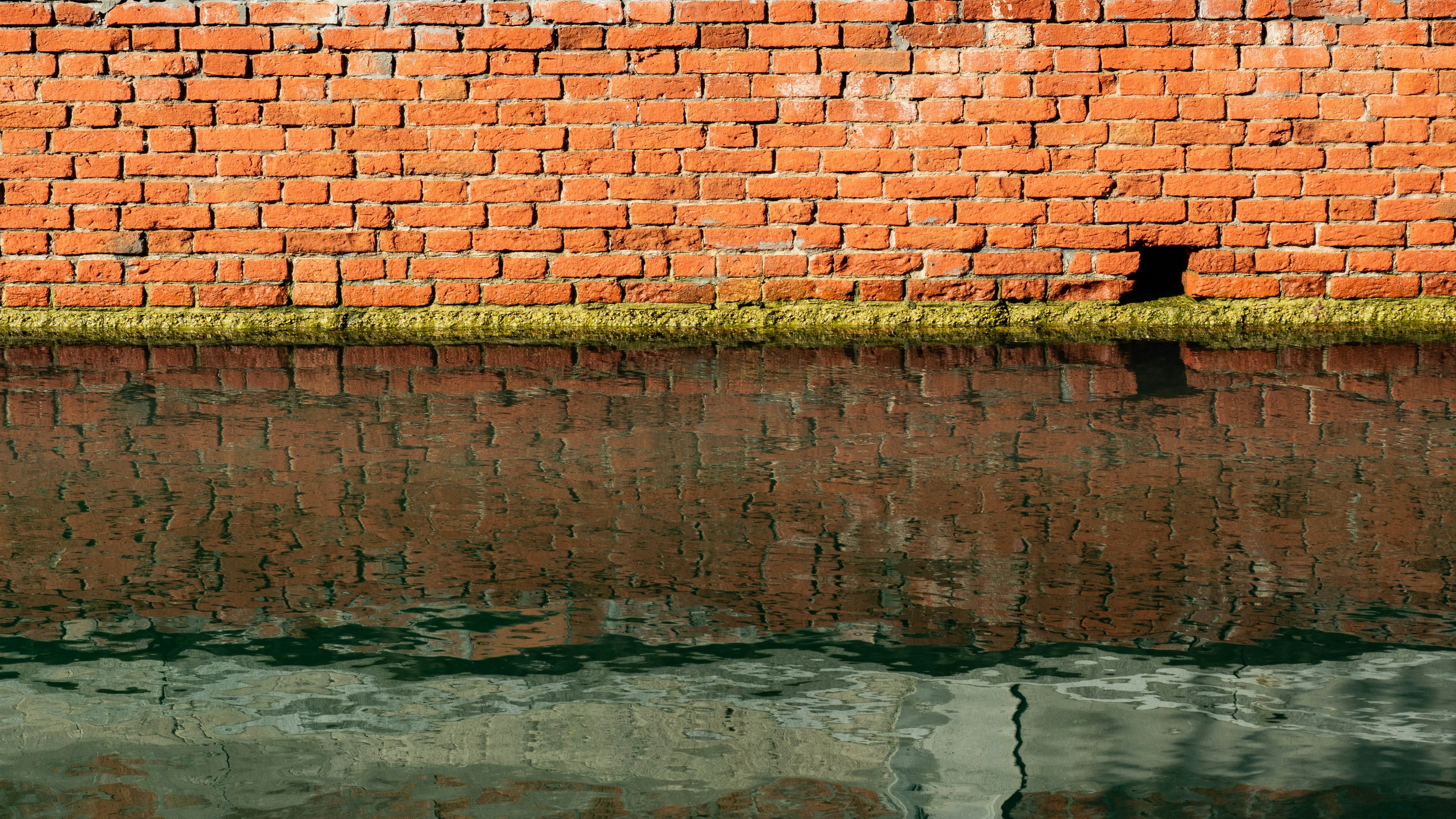 Photo by Flora Orosz with Olympus E-PL8