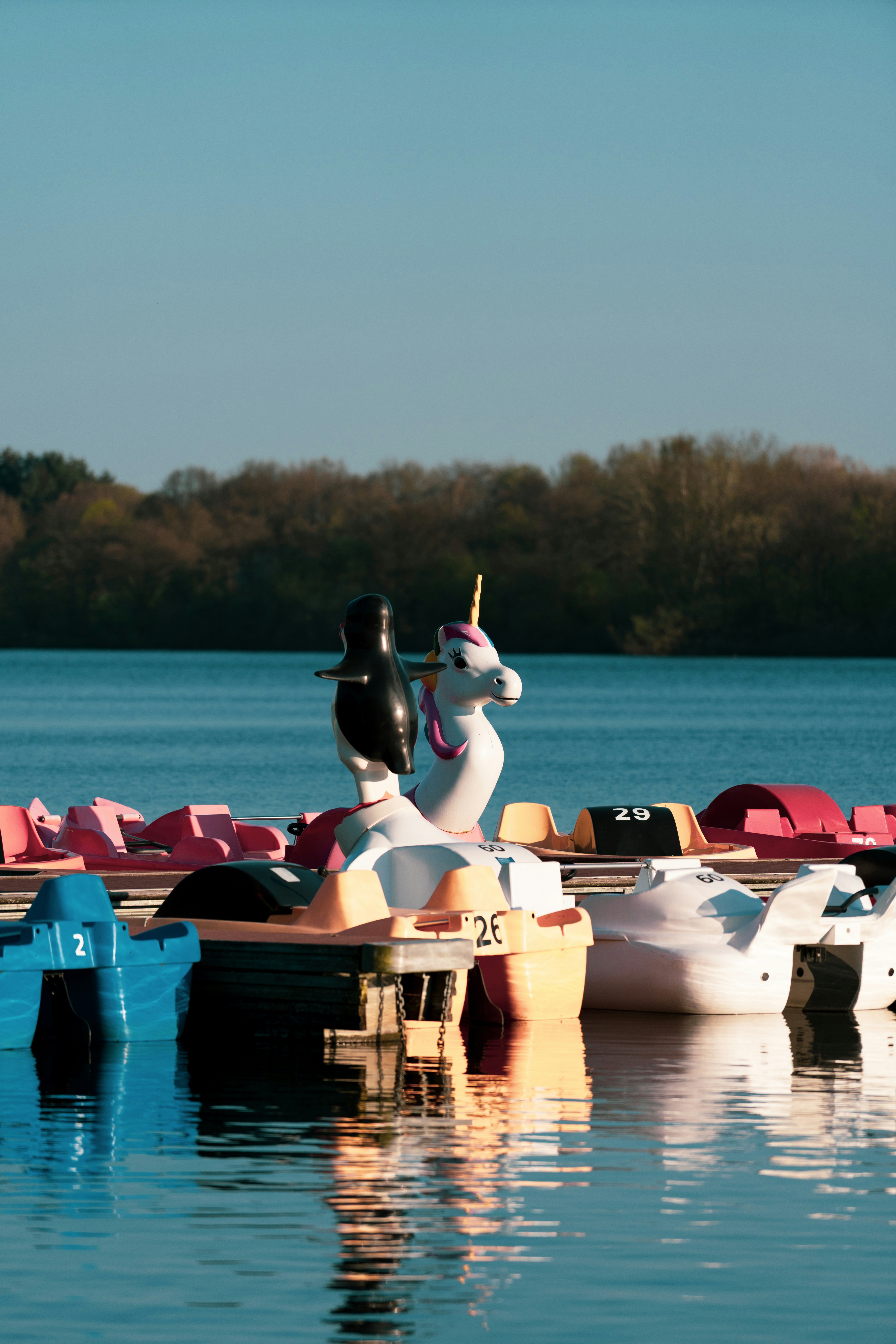 Unicorn on the Pier: Floating Fun by a Lake