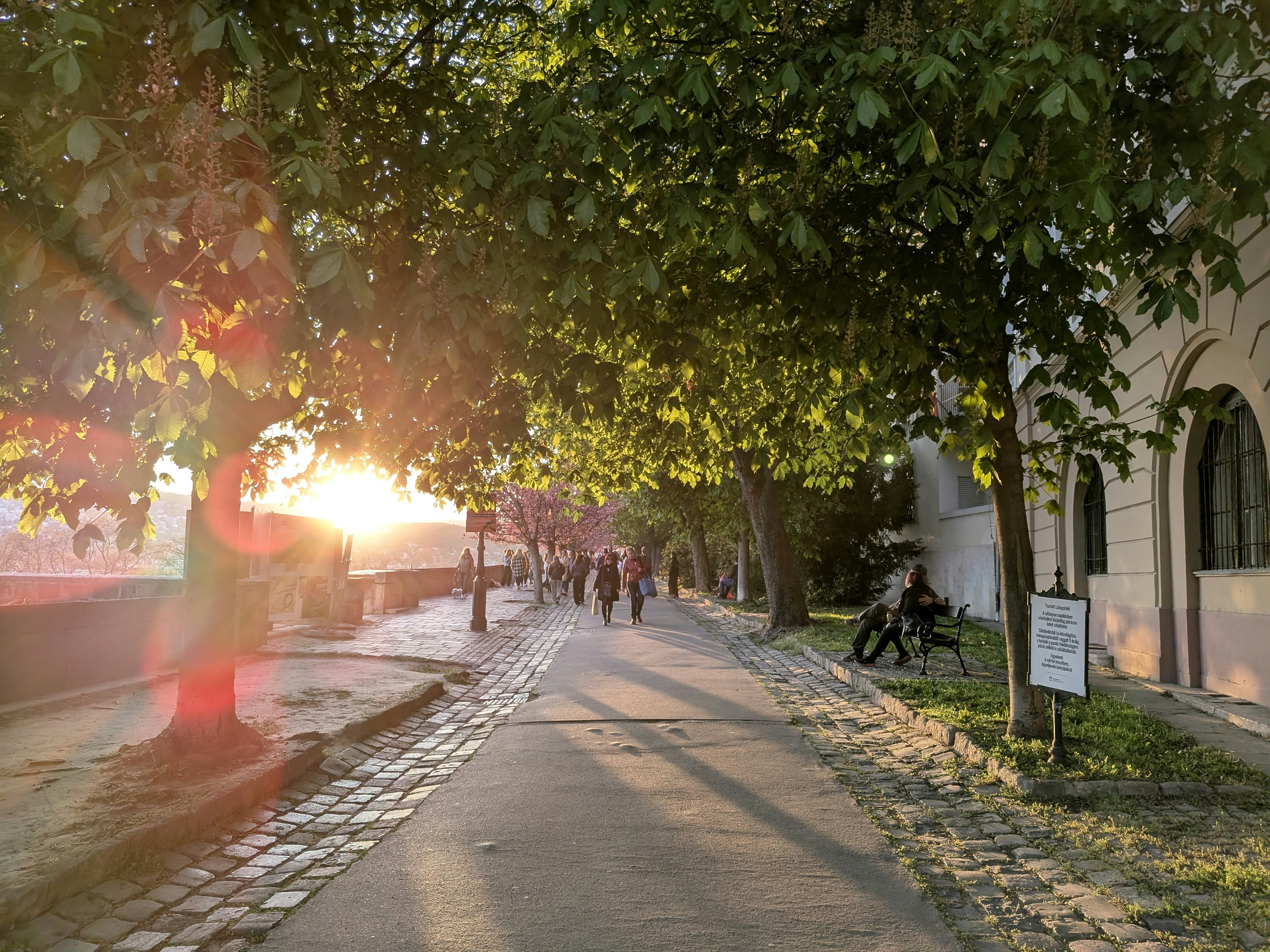 Sample photo from Google Pixel 9 Pro Fold