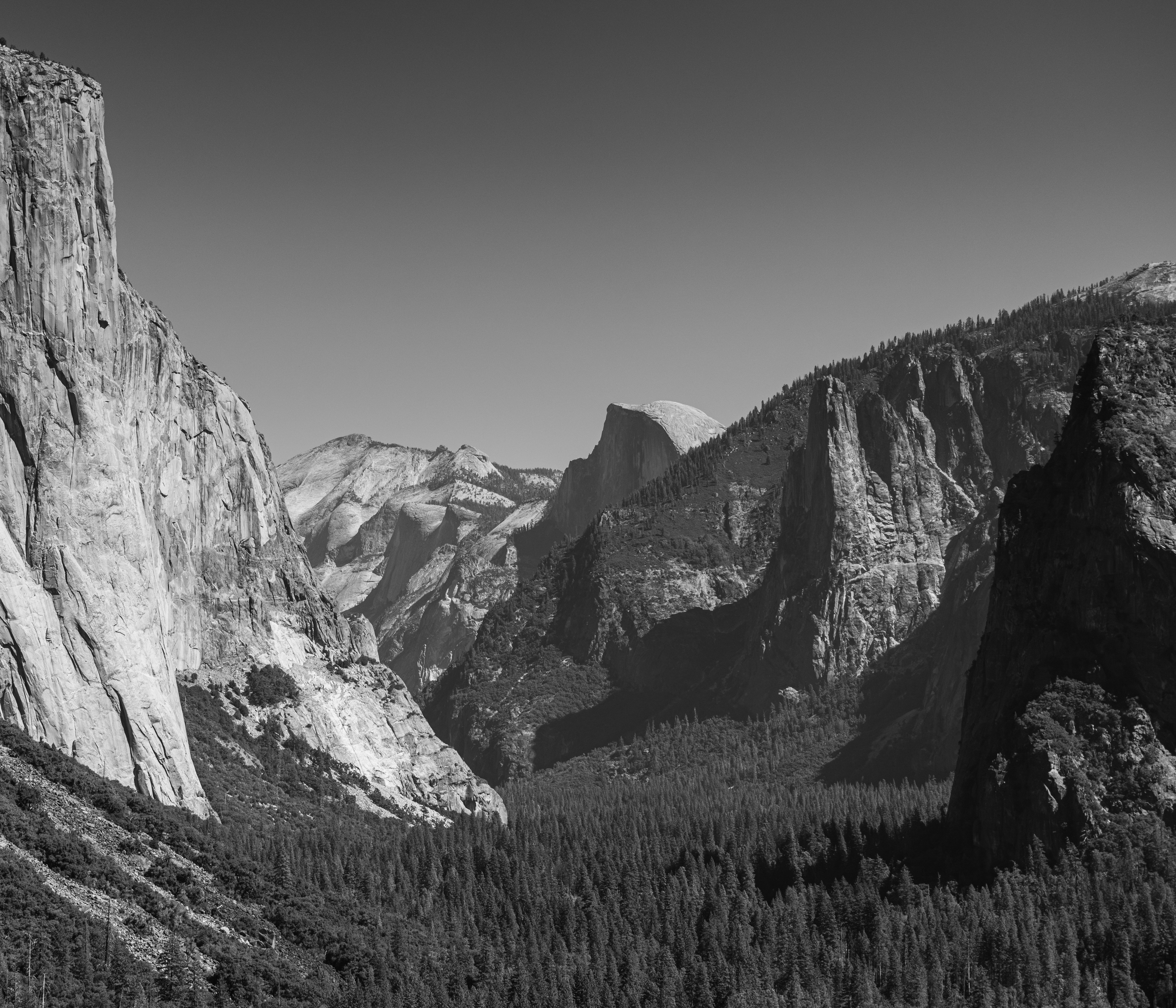 Black and white landscape of Yosemite Valley featuring towering granite cliffs and dense forest under a clear sky.