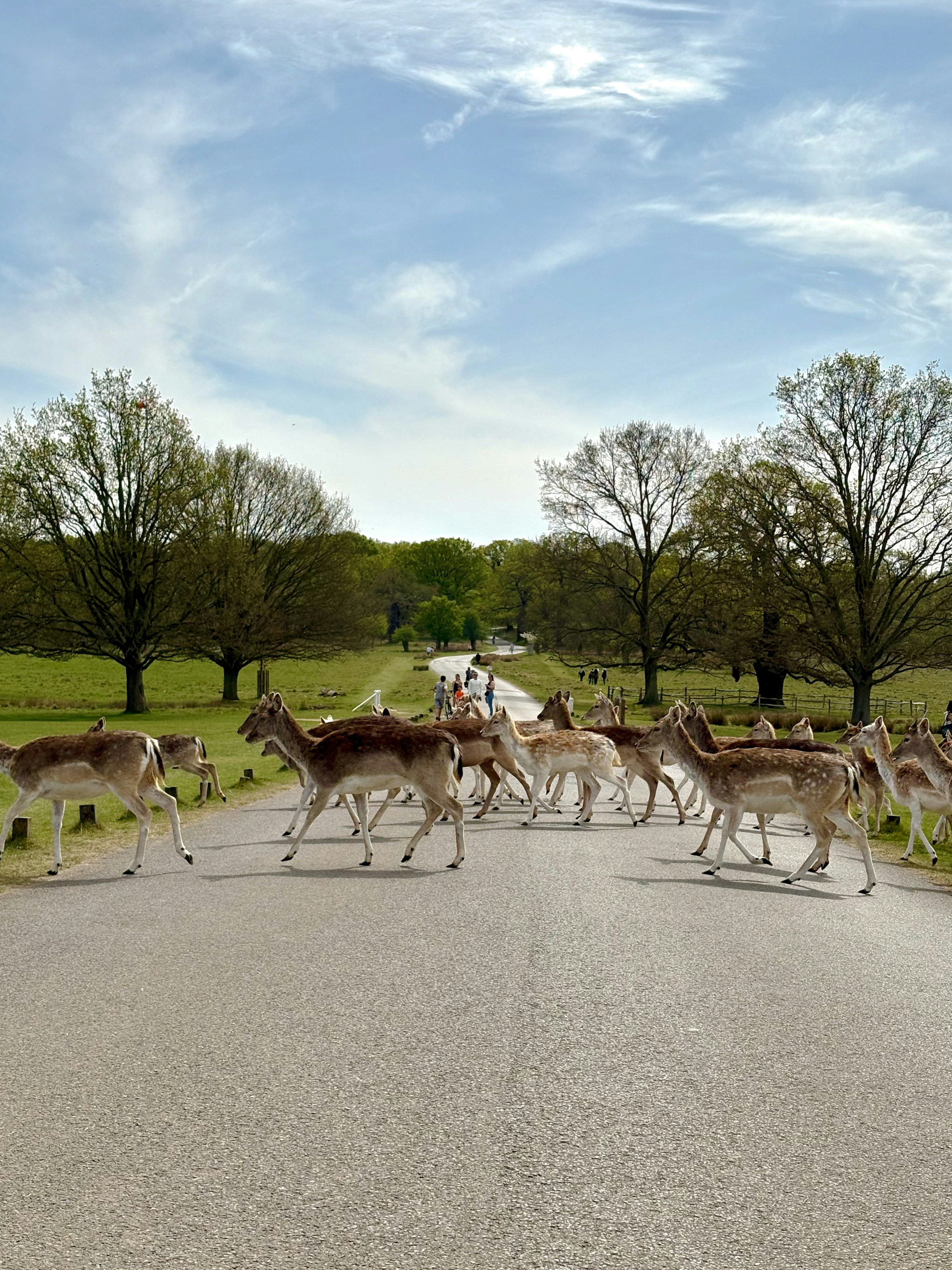 Photo by Daniil Korbut with Apple iPhone 16