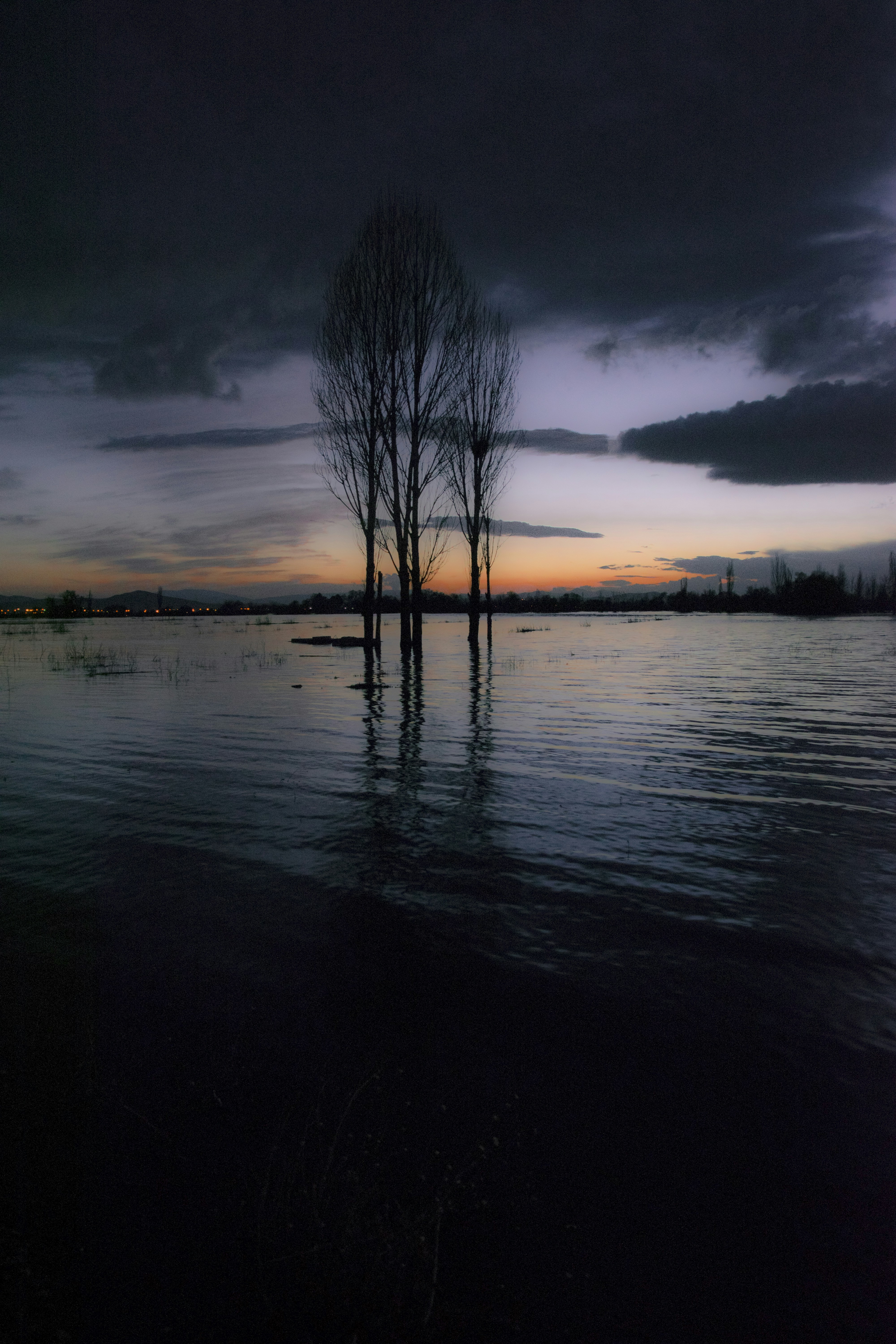 Silhouetted trio of trees in tranquil twilight over calm floodplain