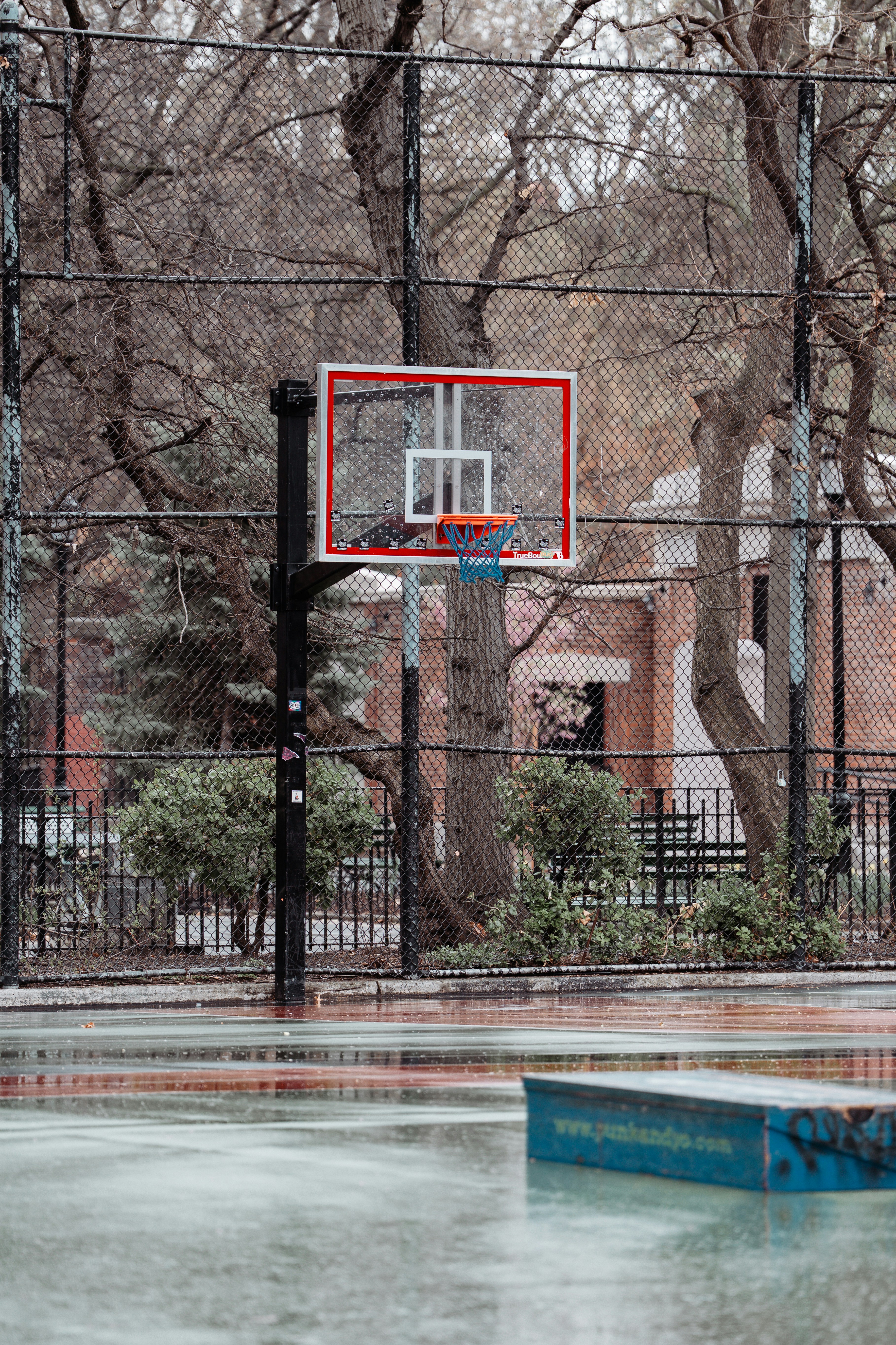 Basketball hoop in rain-dusted city park