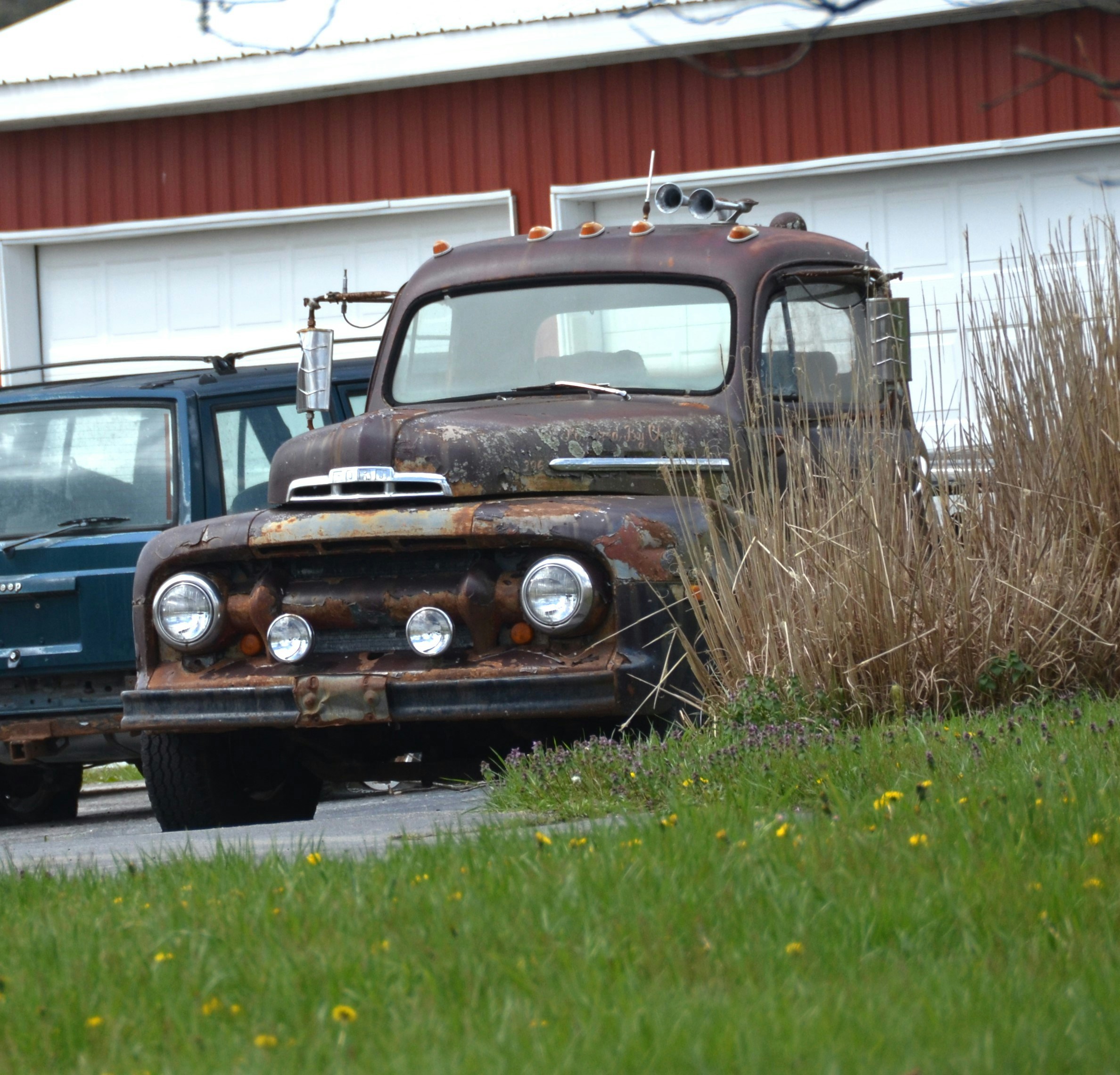 The Rusted Sentinel: A Forgotten Pickup Among Wild Grass