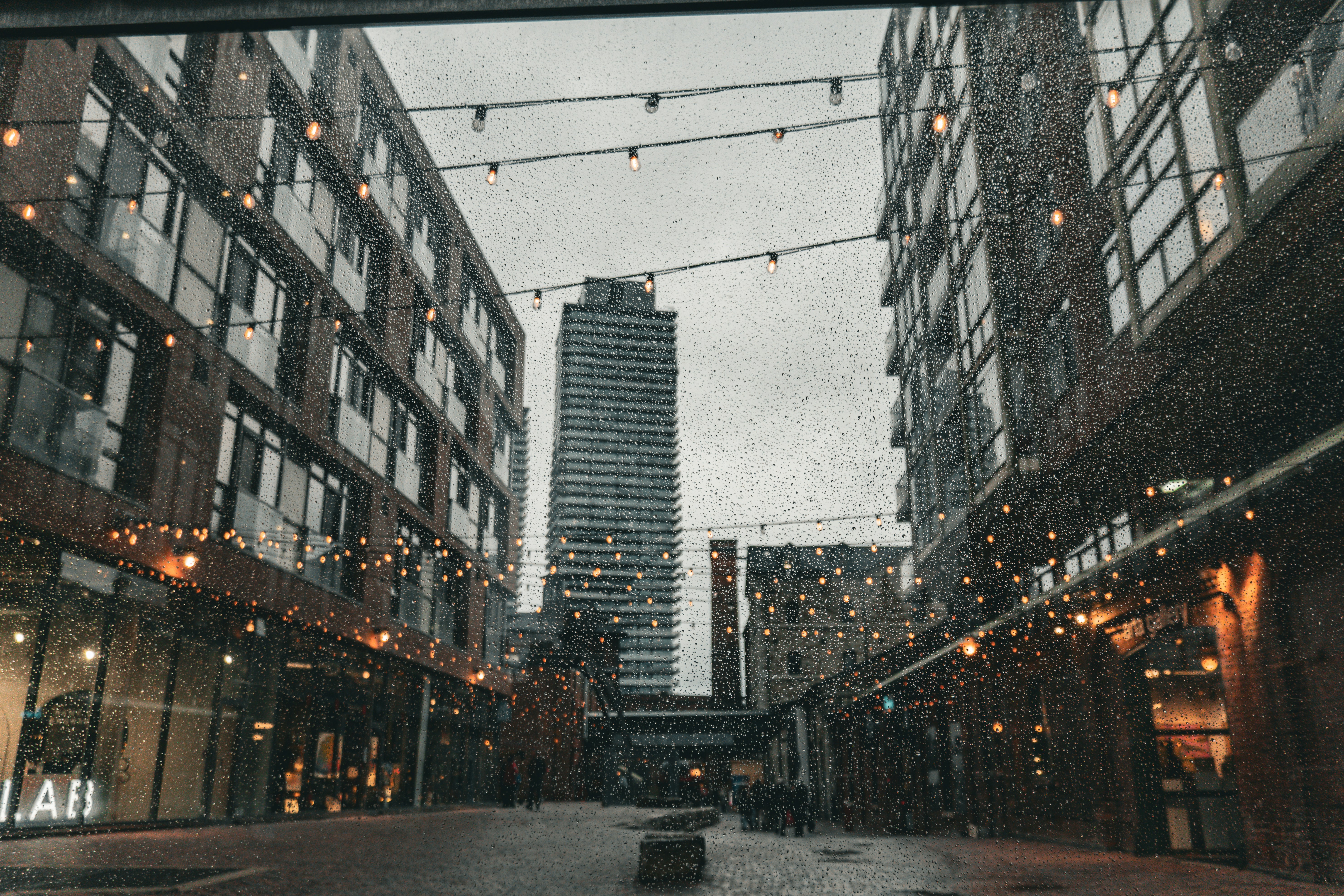 Urban Rainfall Symphony