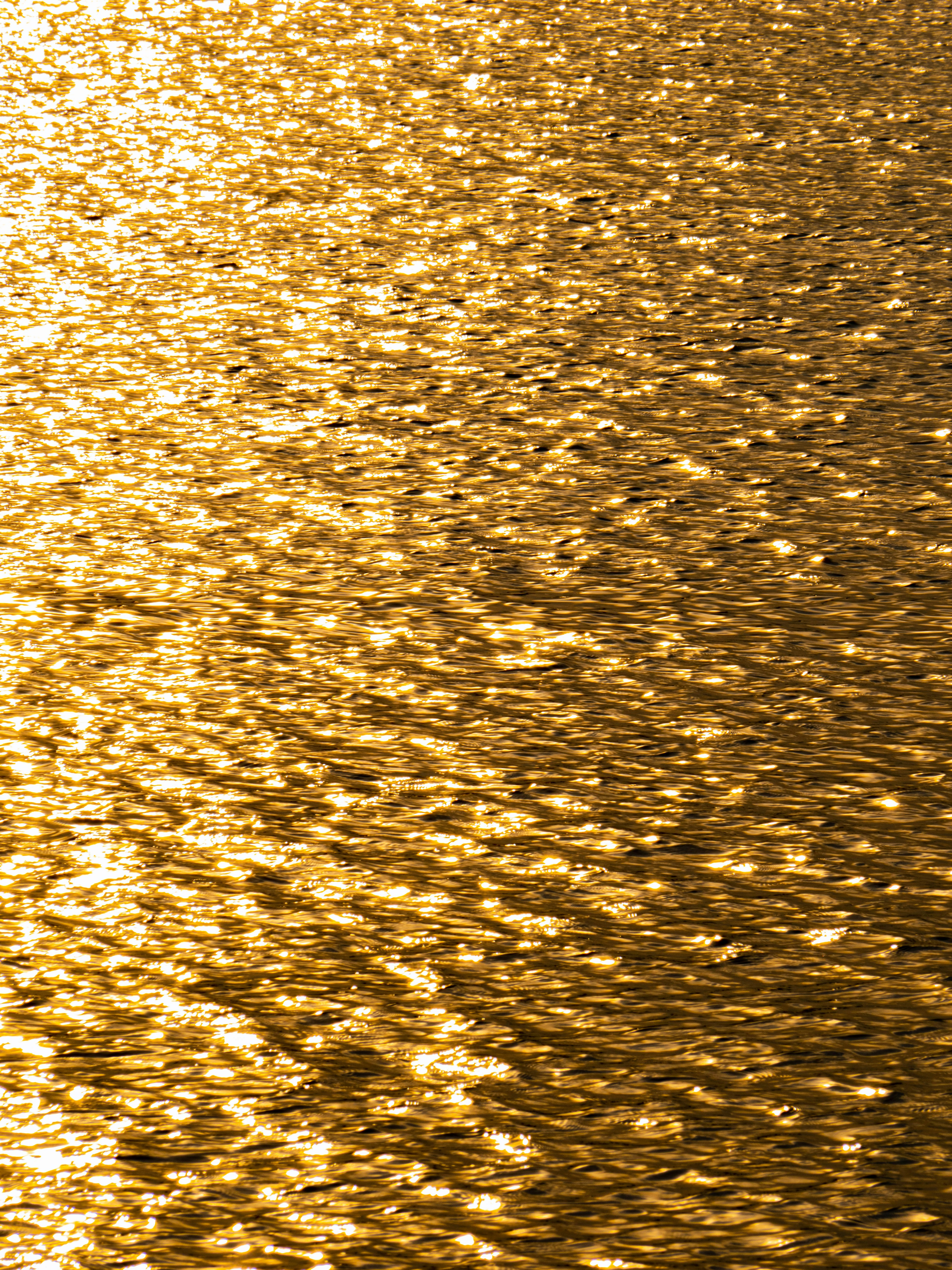 Golden sunlight sparkles on the water's surface.Diego Romeo