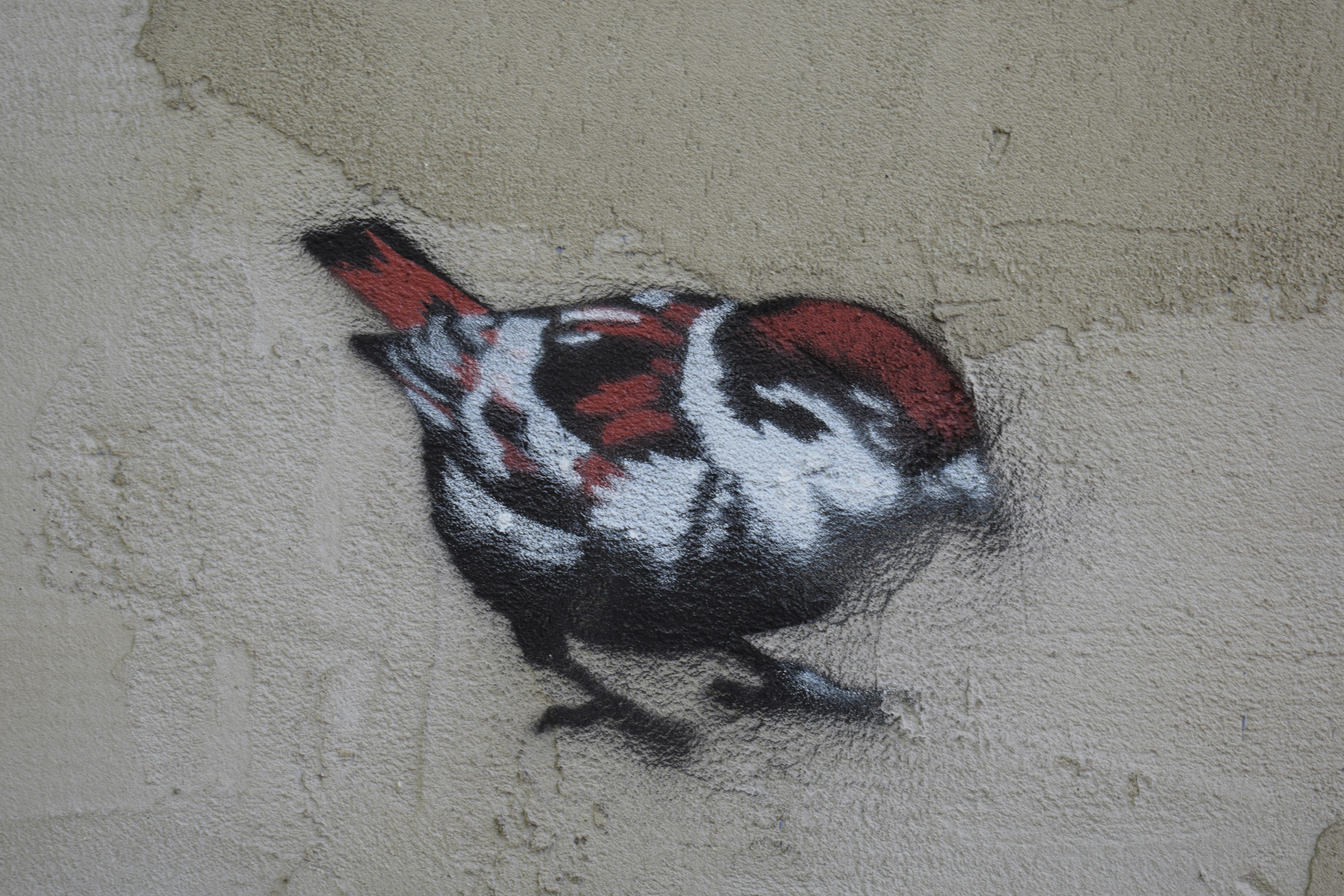 Cracked Concrete Sparrow: Red-Crowned Graffiti Portrait