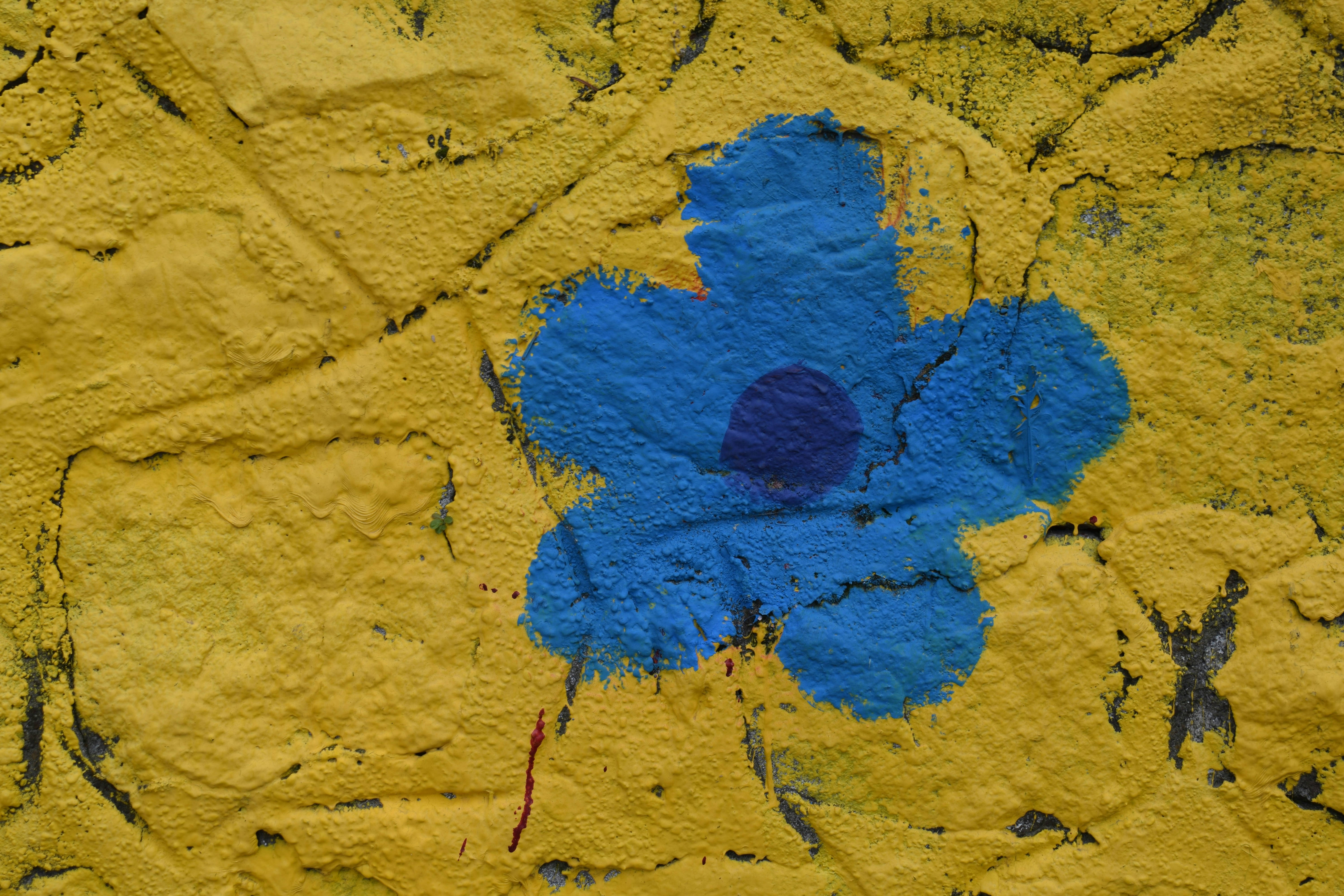 Azure graffiti bloom on a sunlit yellow brick canvas