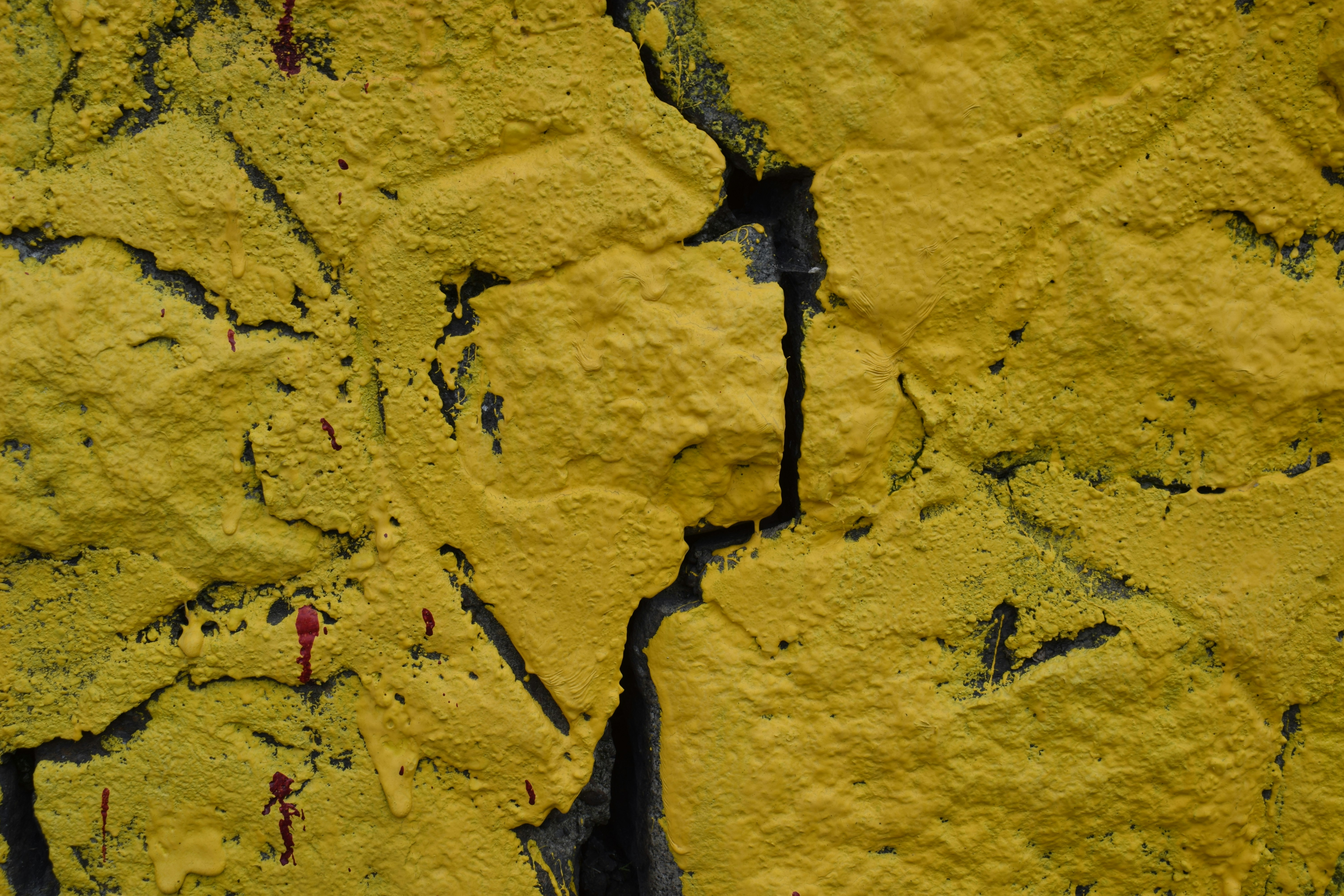 Photo by Marija Zaric with Nikon D5300