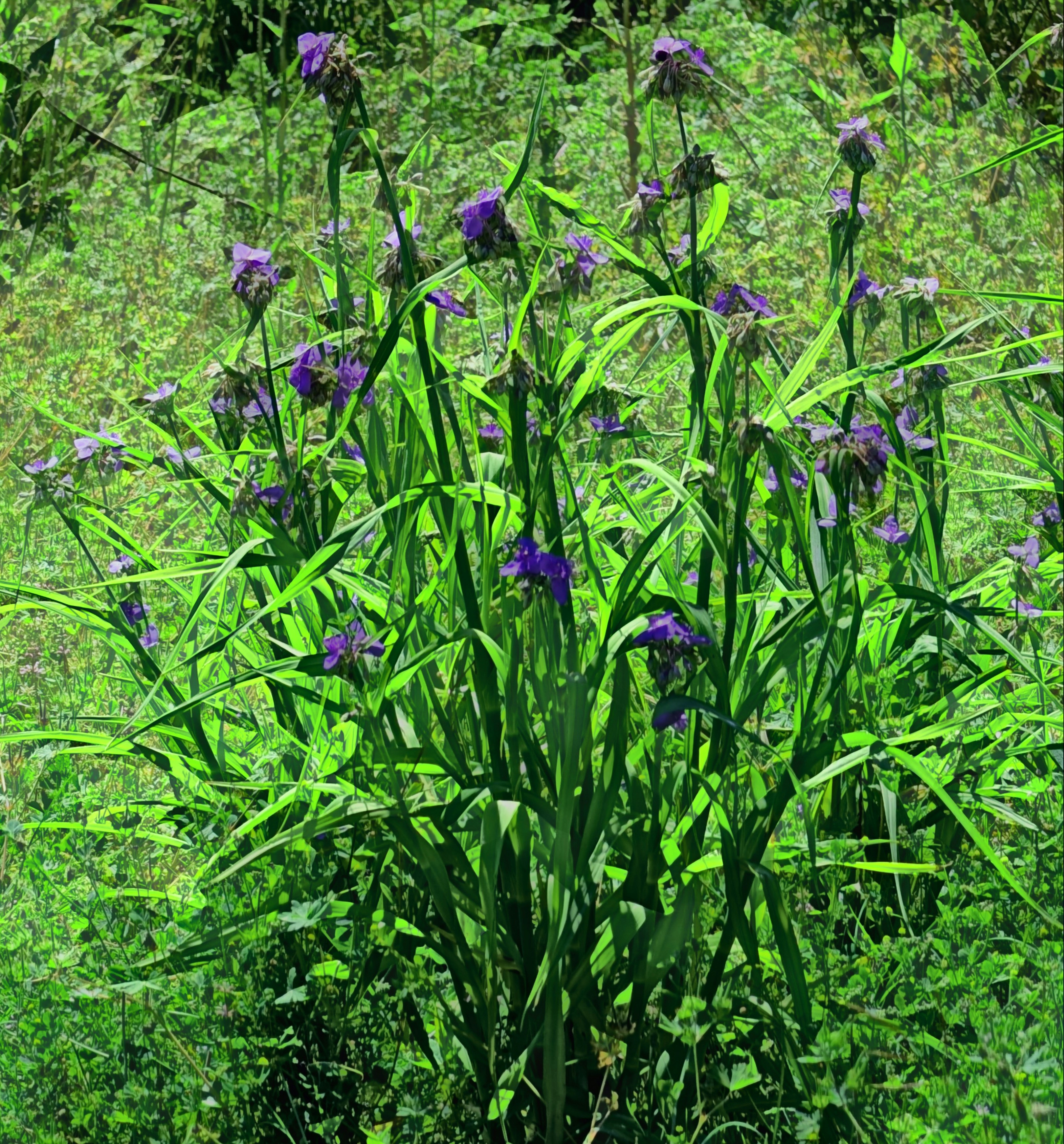 Deborah Downes (@freethinker) | Unsplash Photo Community
