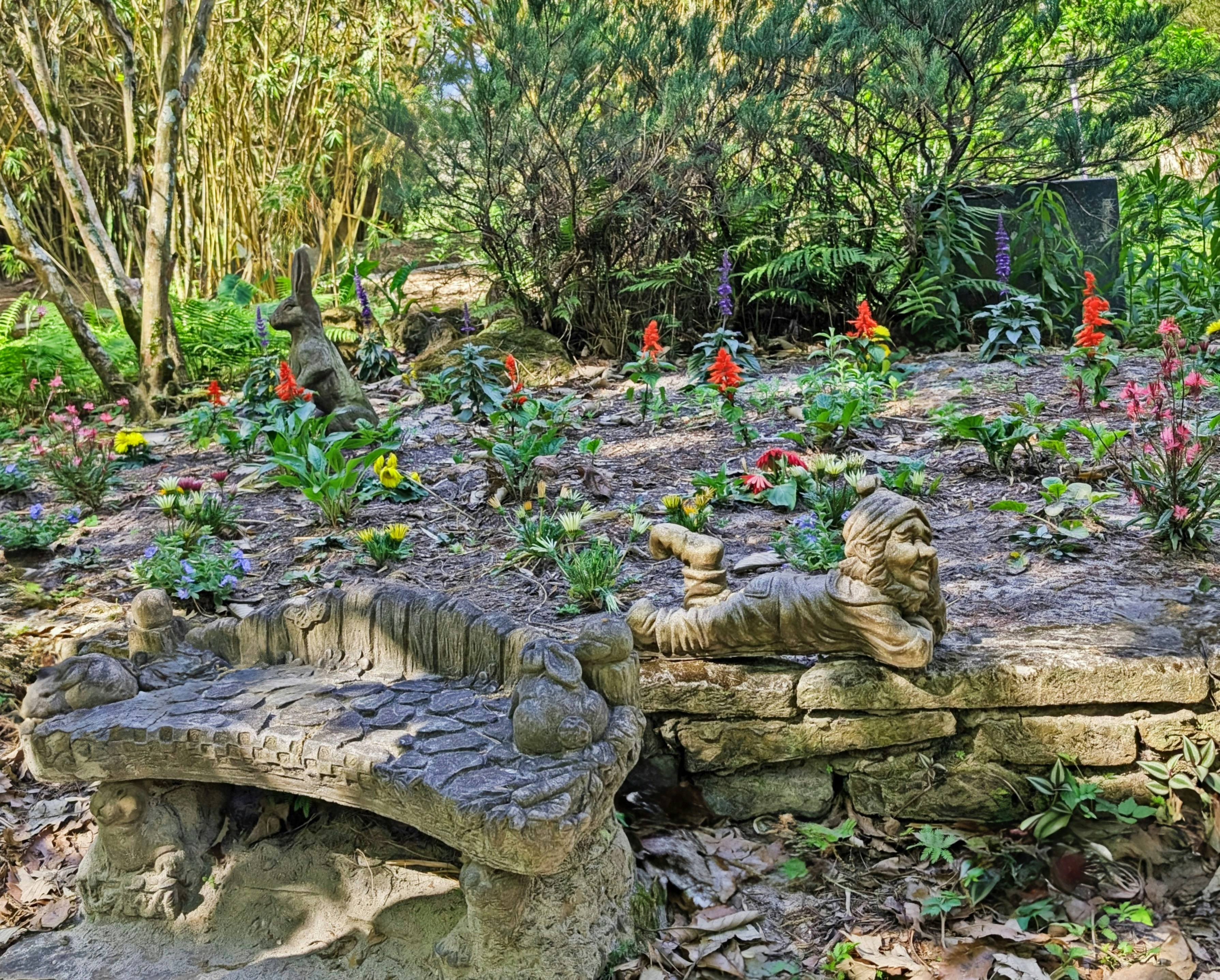 Deborah Downes (@freethinker) | Communauté photos Unsplash