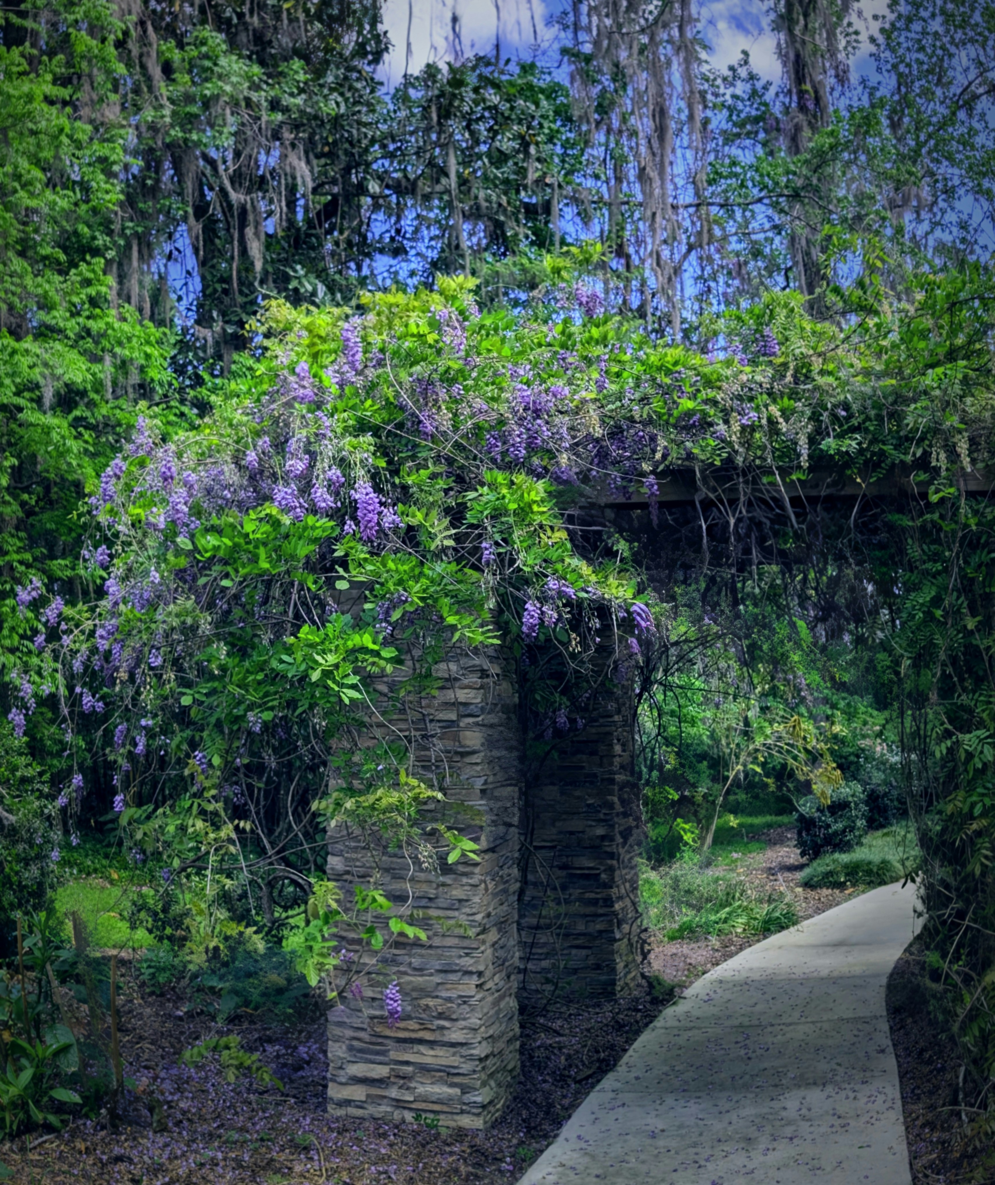 Deborah Downes (@freethinker) | Communauté photos Unsplash