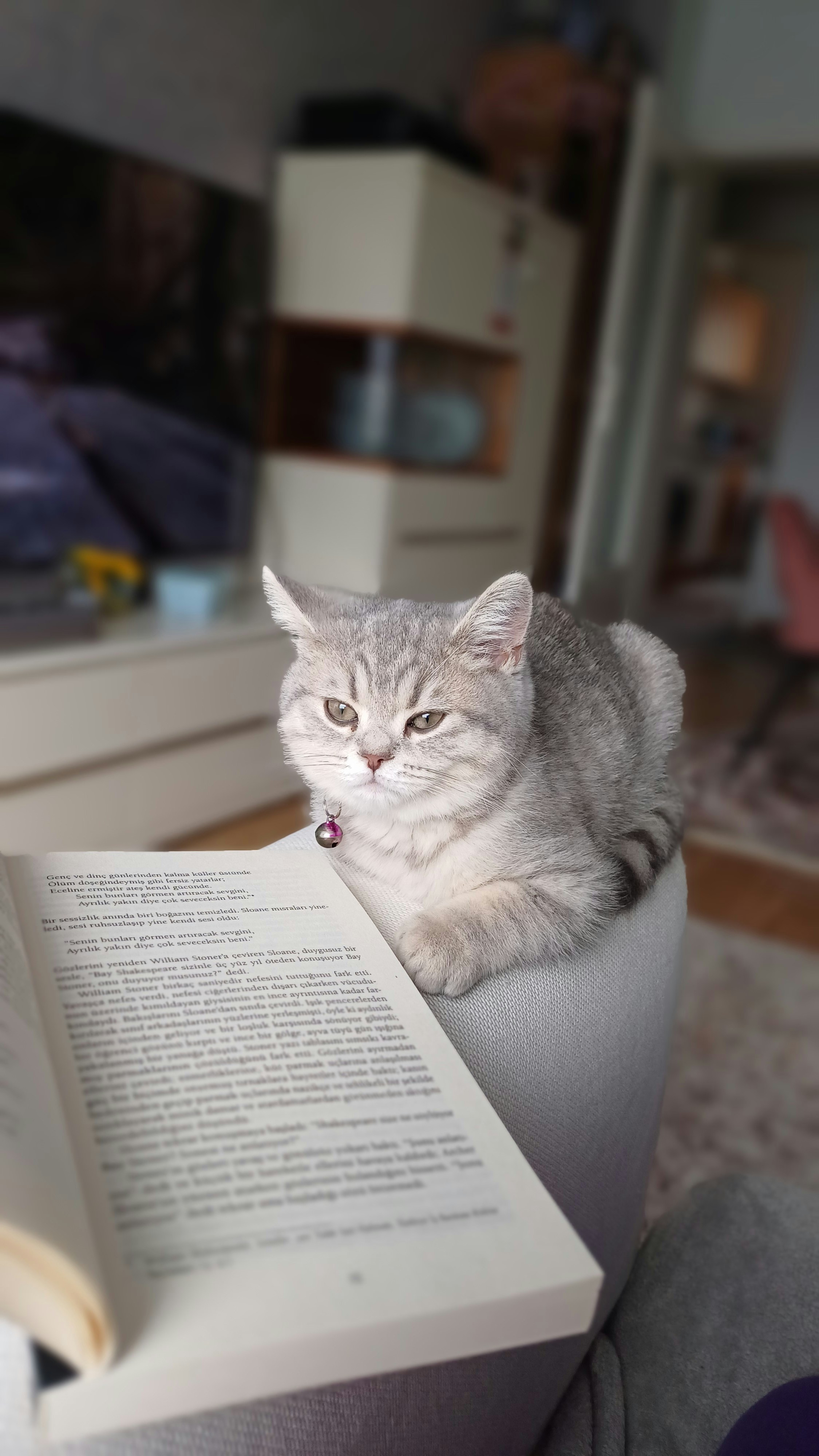 Photo by zeliha turk with Samsung Galaxy A34