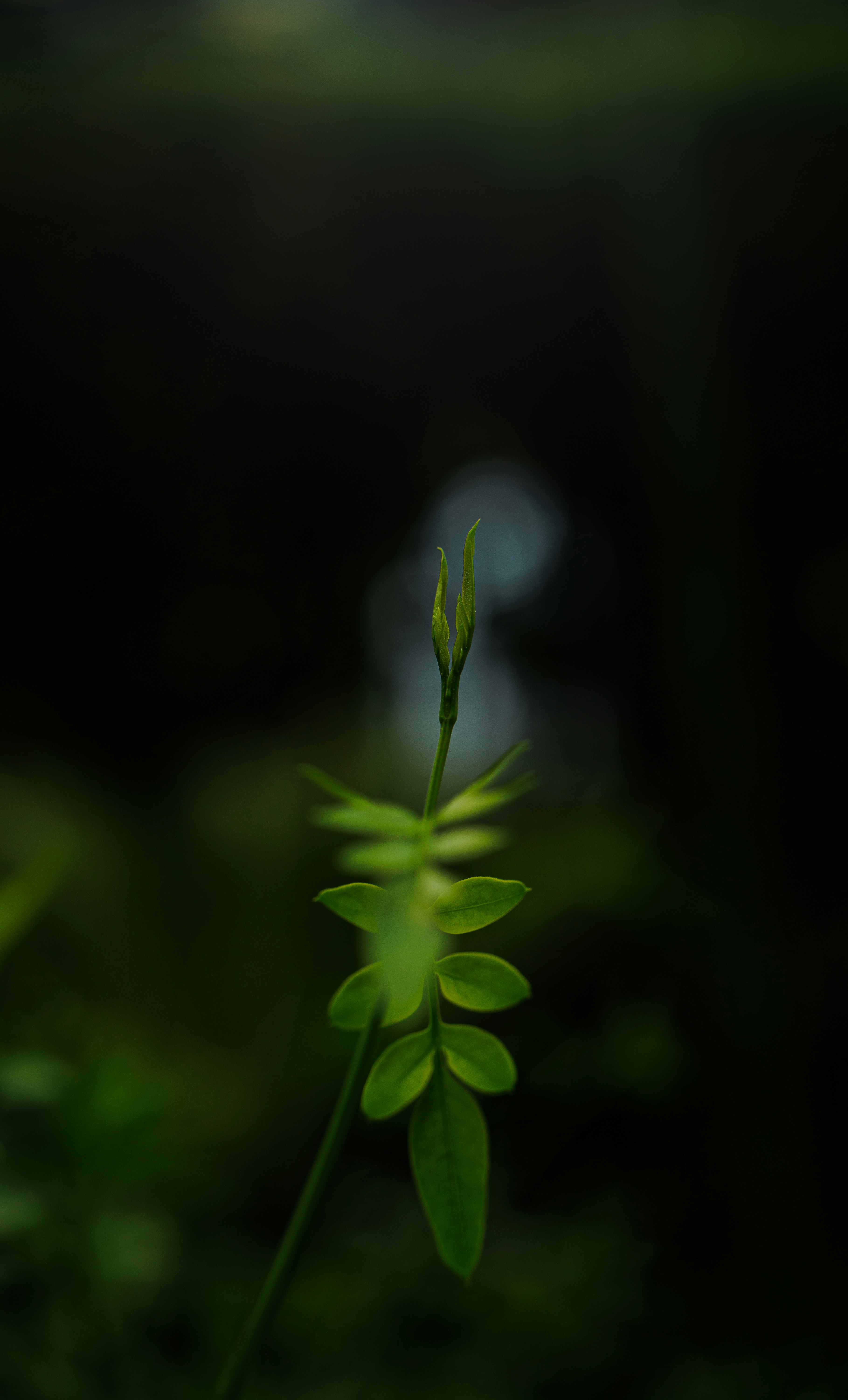 Photo by Iván Díaz with Canon EOS M50 Mark II