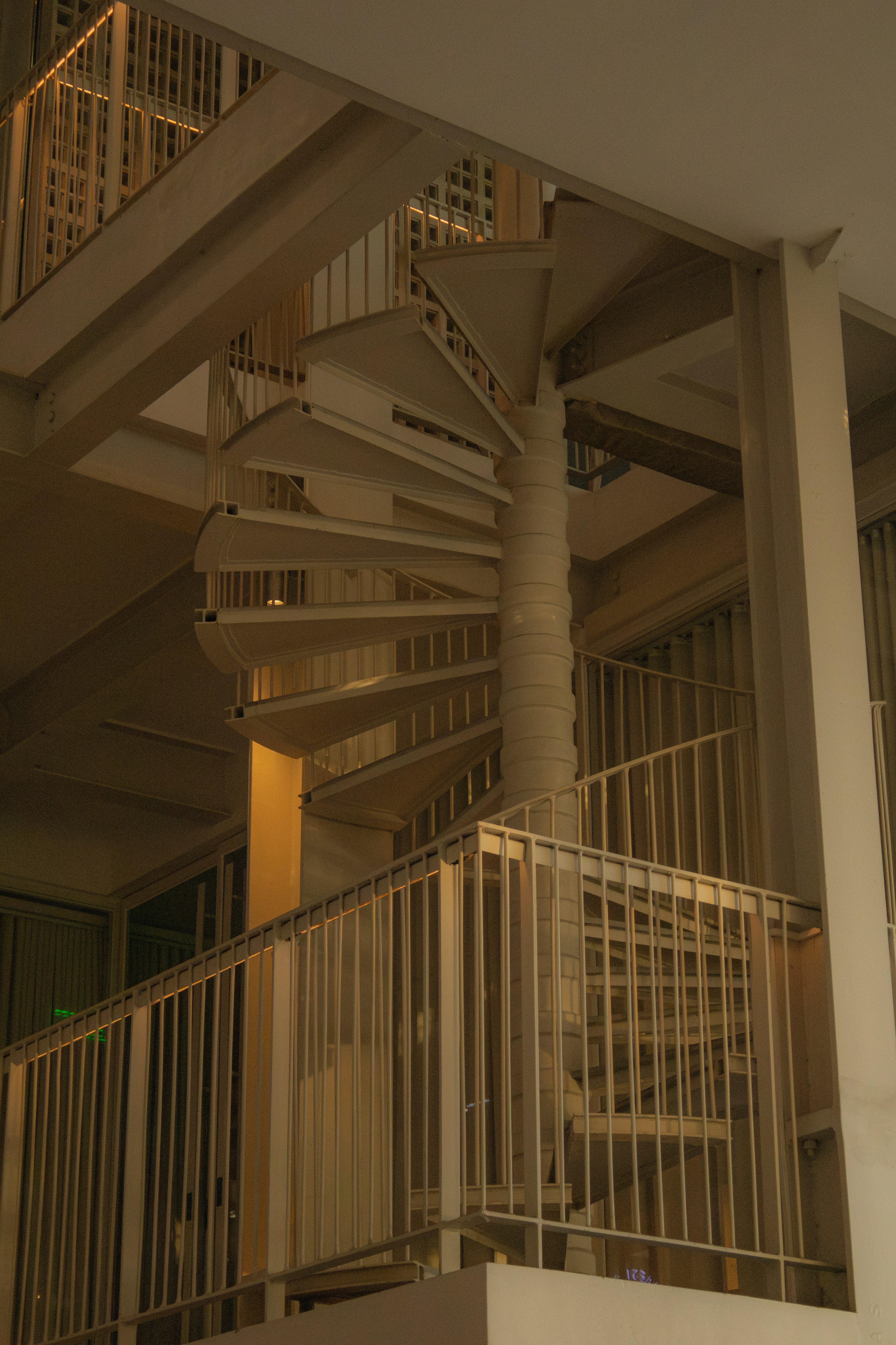 Photo by Bridget Adolfo with Canon EOS R10