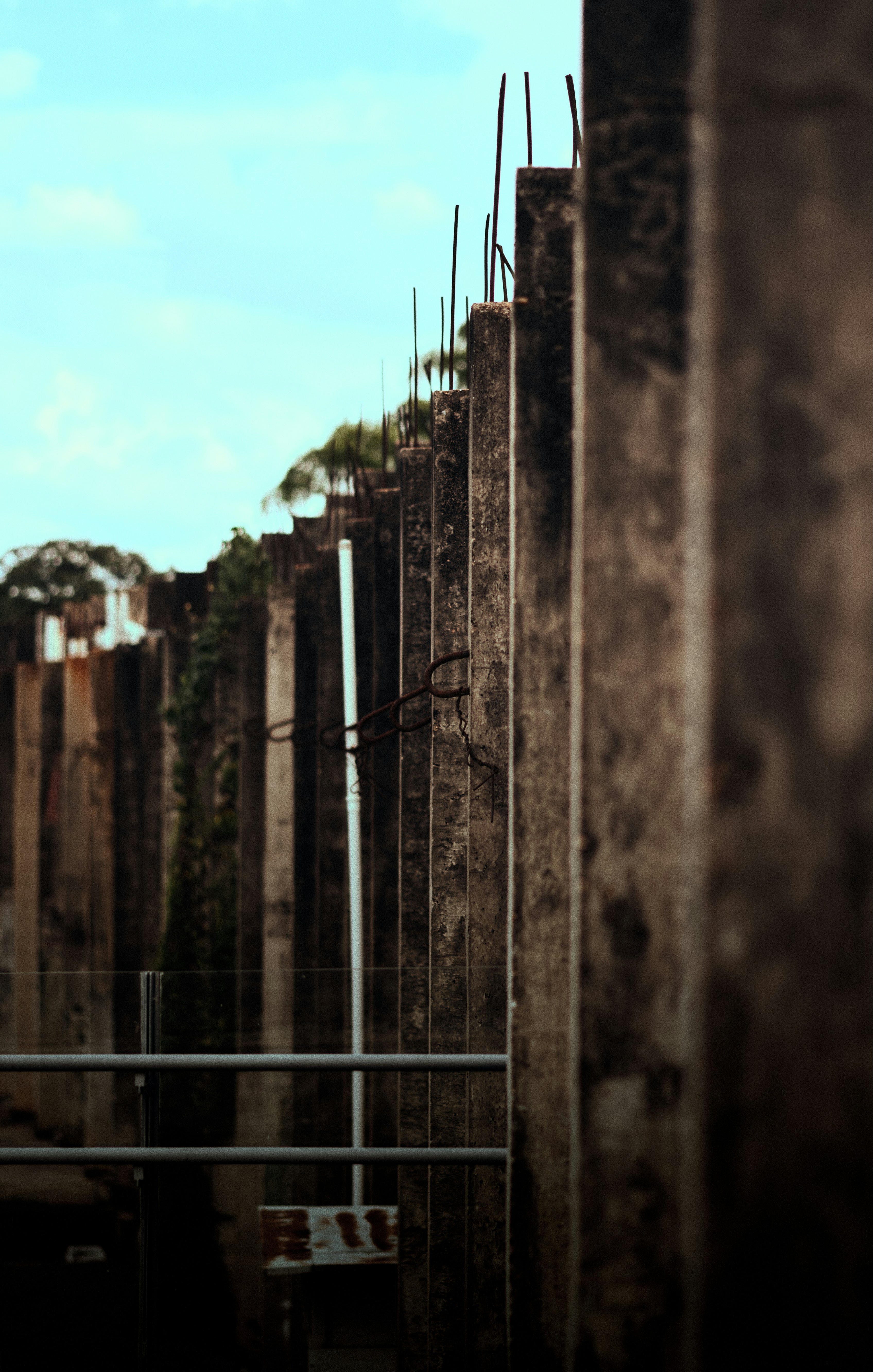 Columnar Corridor: Weathered Concrete Rebar and the Open Sky