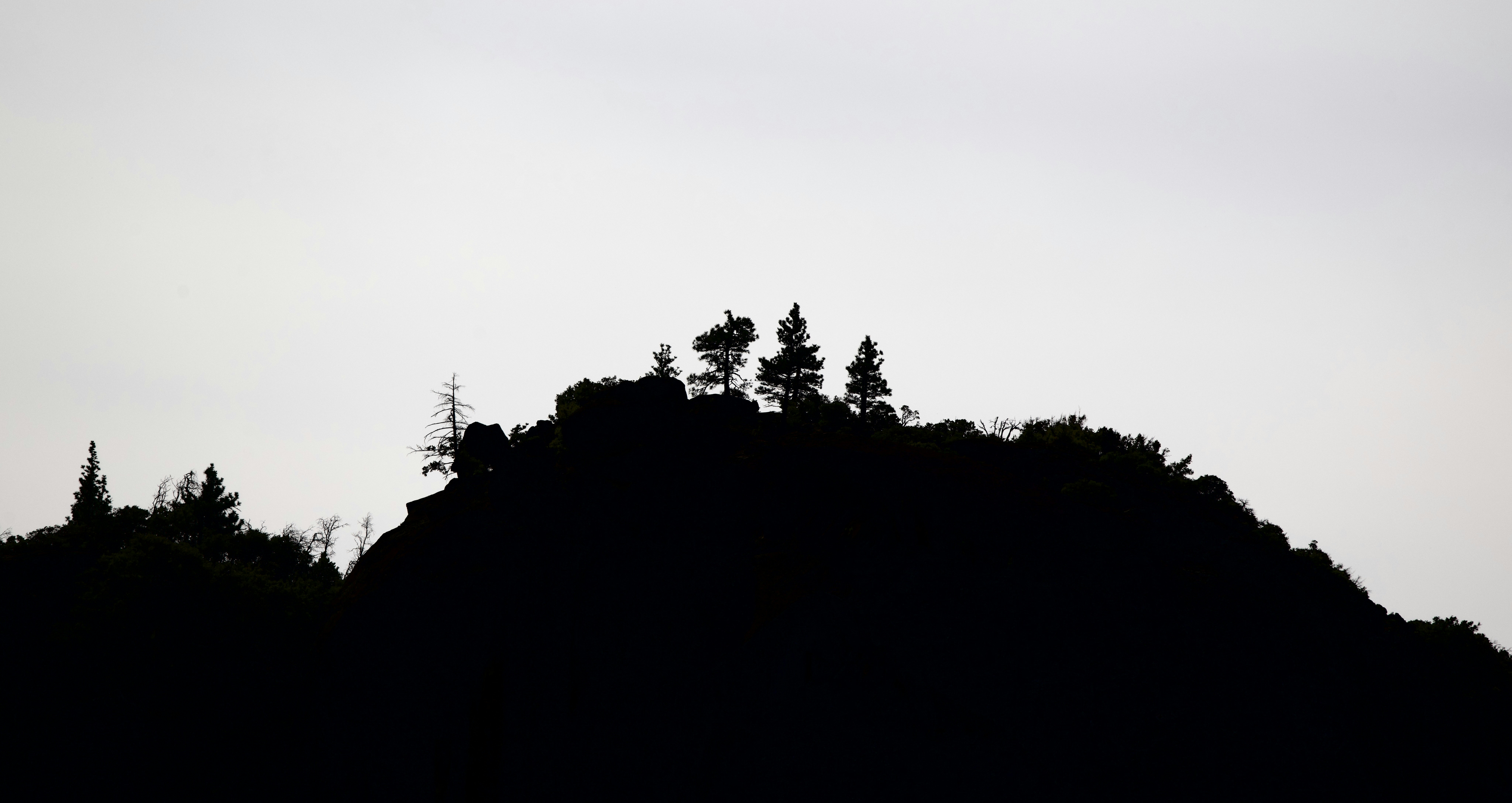 Steve Gribble (@steve_g_) | Unsplash Photo Community