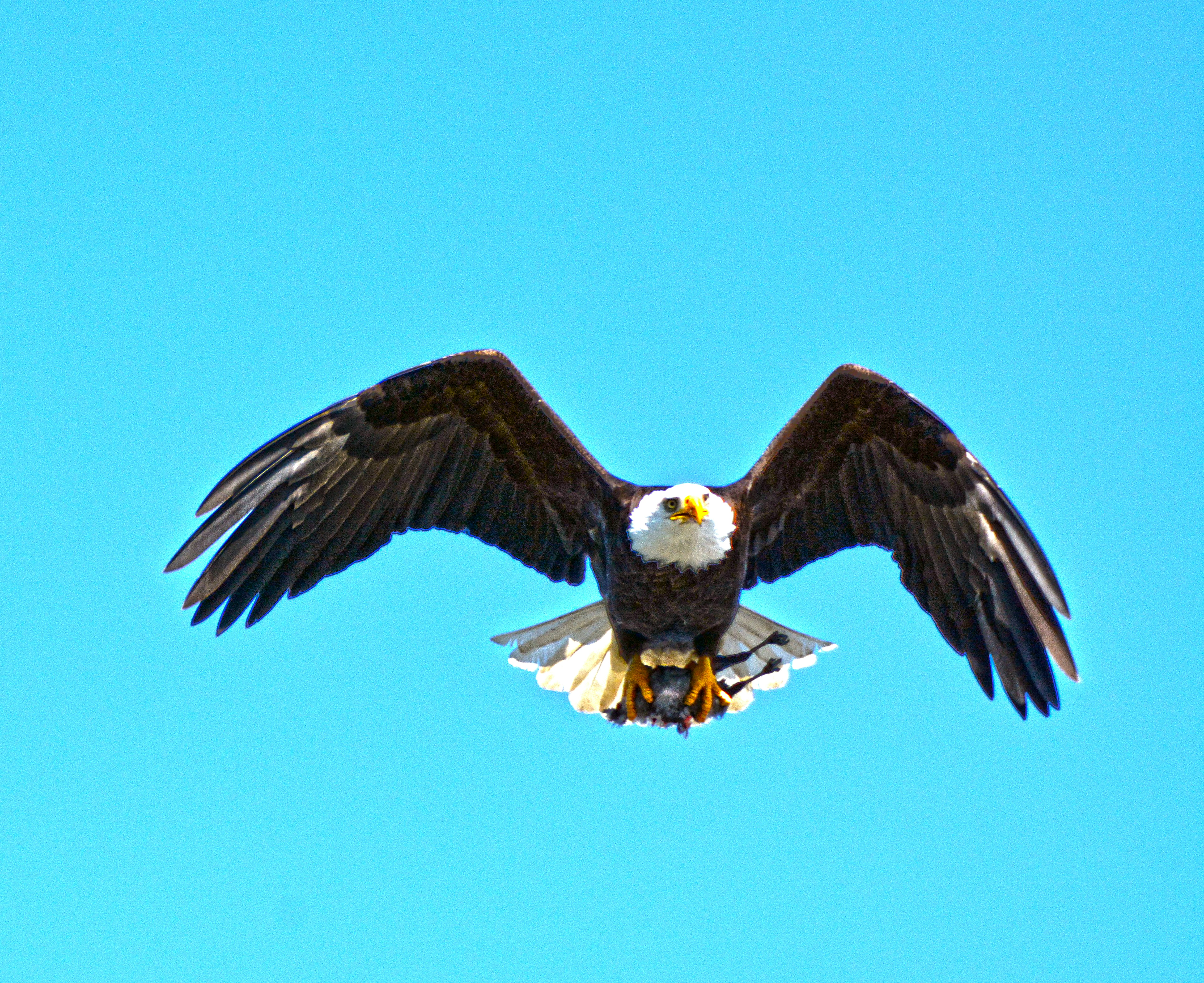 Bryan Hanson (@bryanhanson) | Unsplash Photo Community