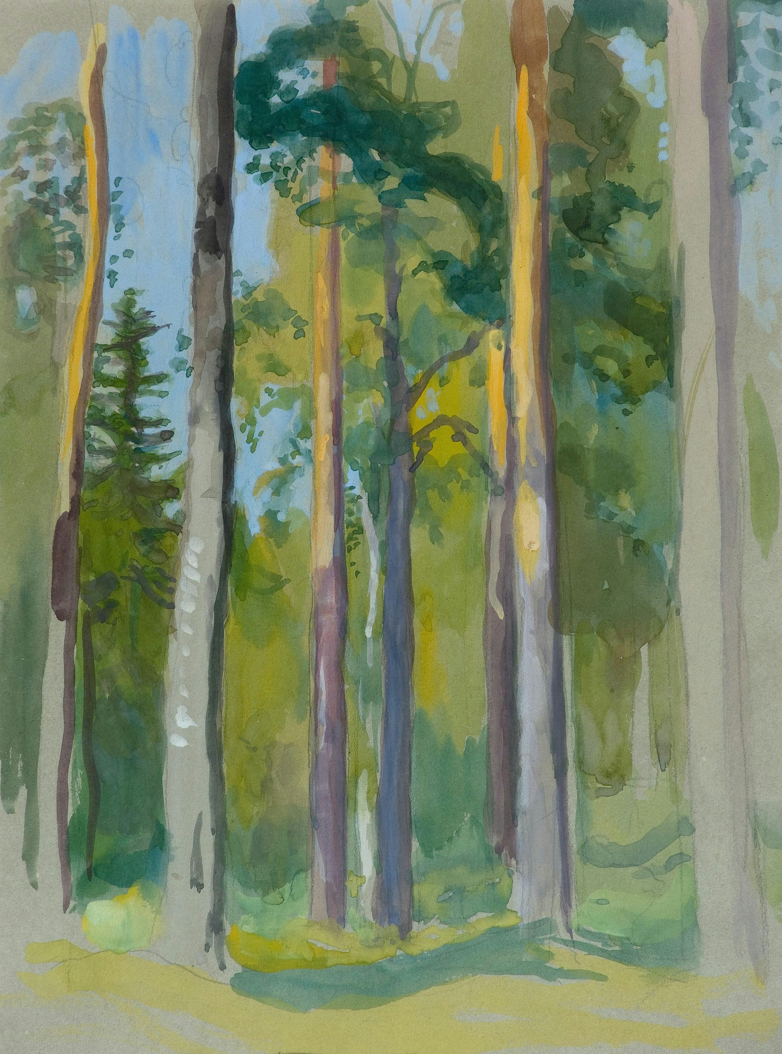 Sample photo from Kodak DCS Pro 14n