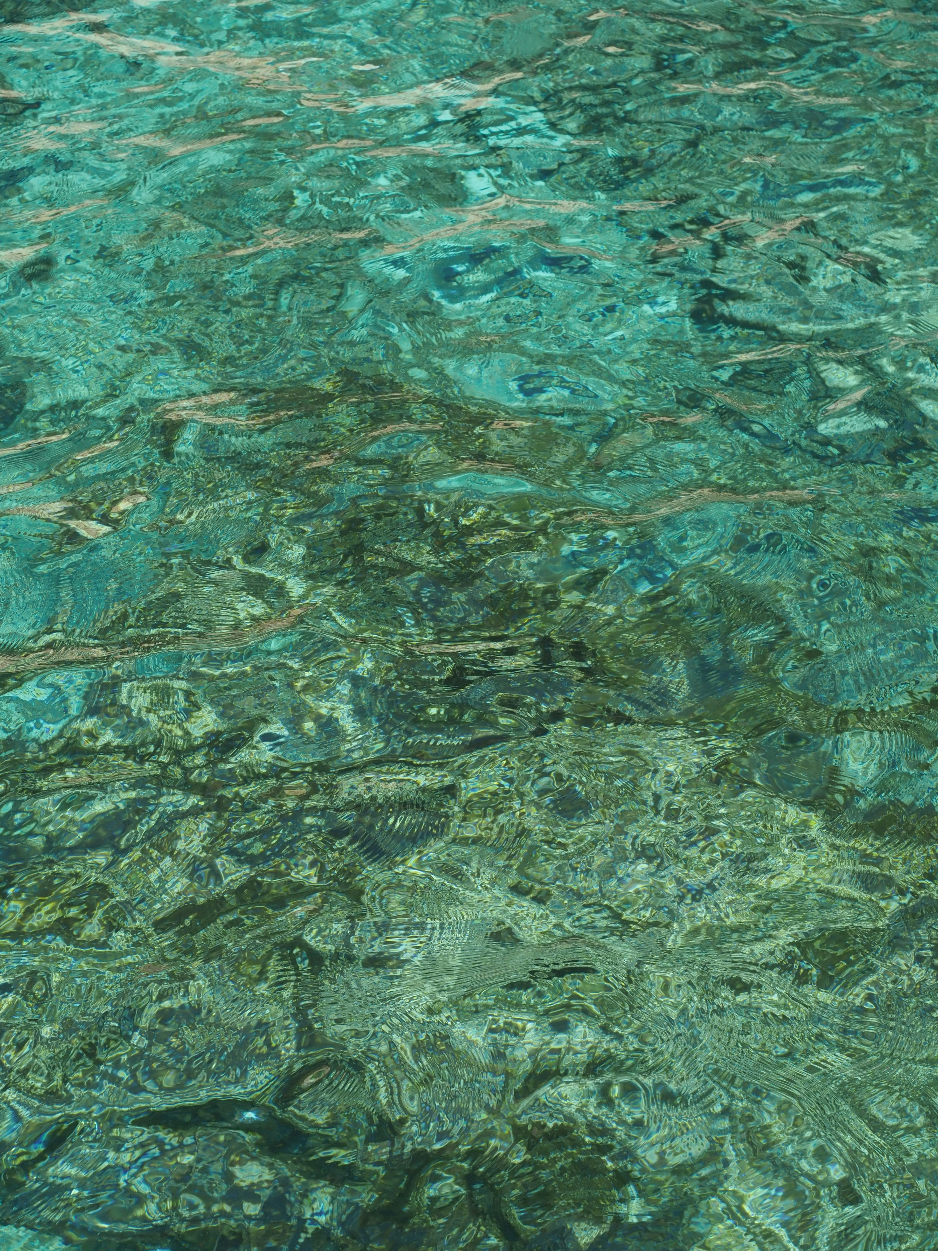 Turquoise Quiet: Sunlit Shallow-Reef Canvas Beneath Rippling Currents