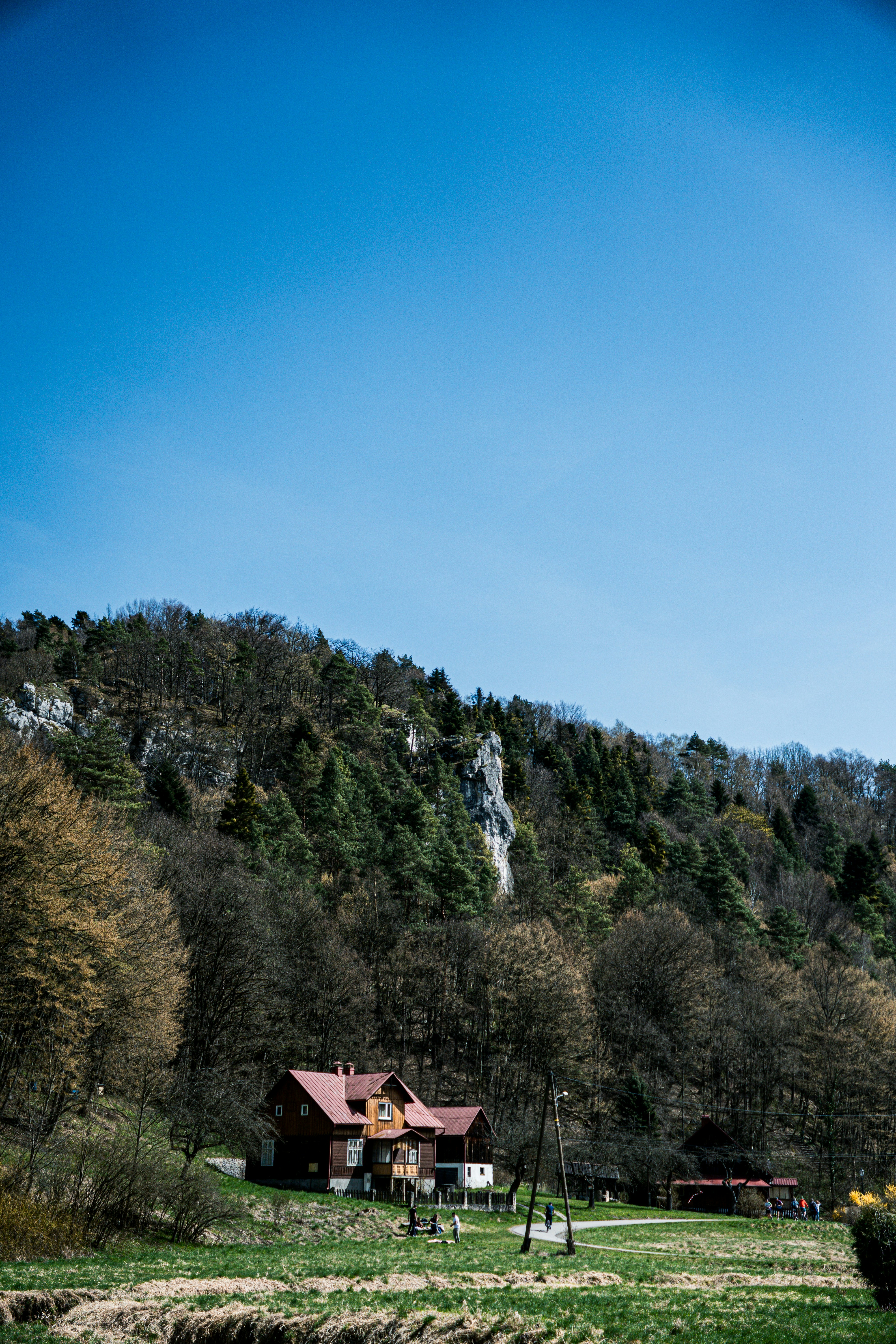A house sits below a tree-covered mountain.