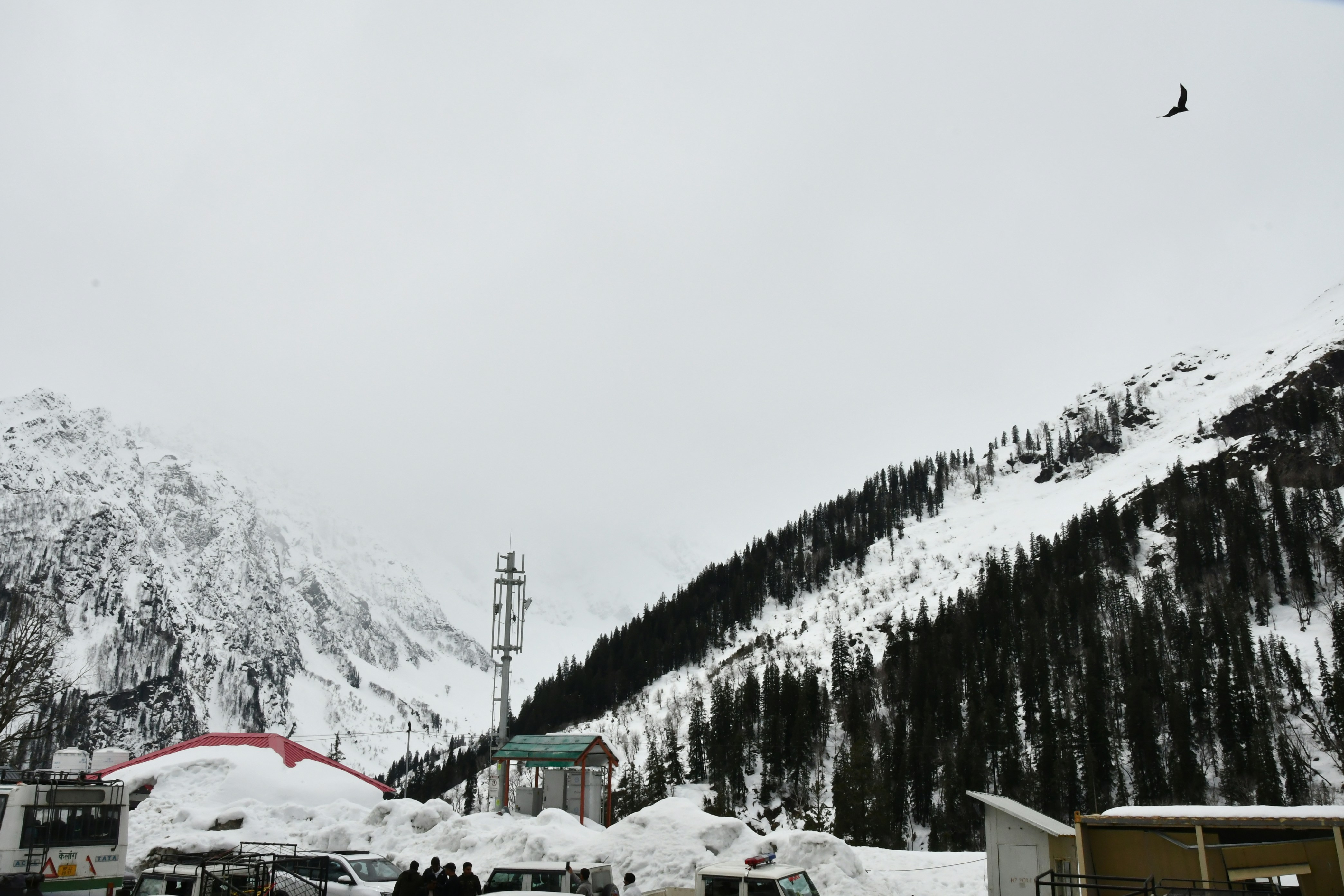 Akarsh Verma (@akarsh_7999) | Komunitas Foto Unsplash