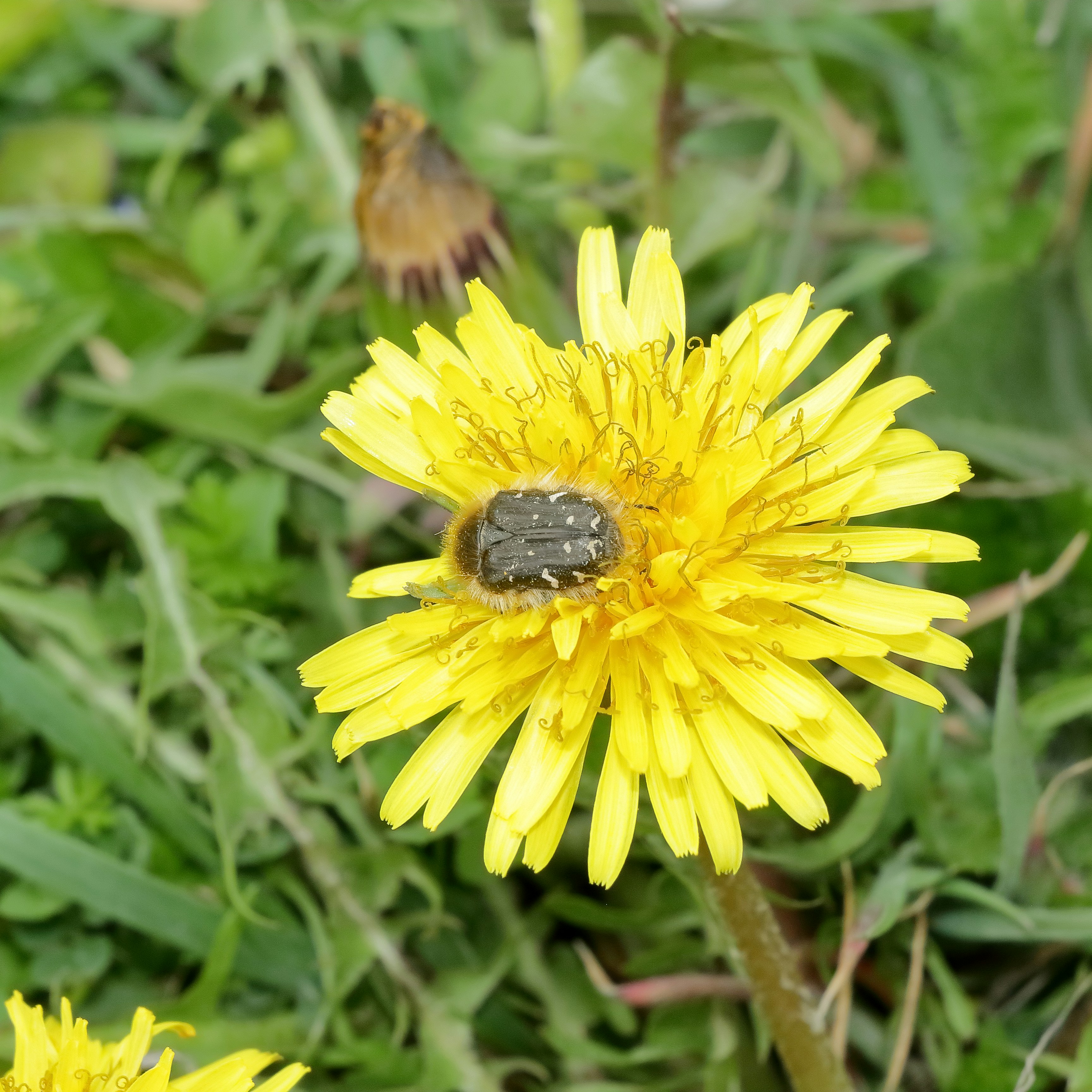 Photo by Mustafa akın with Canon EOS 1300D