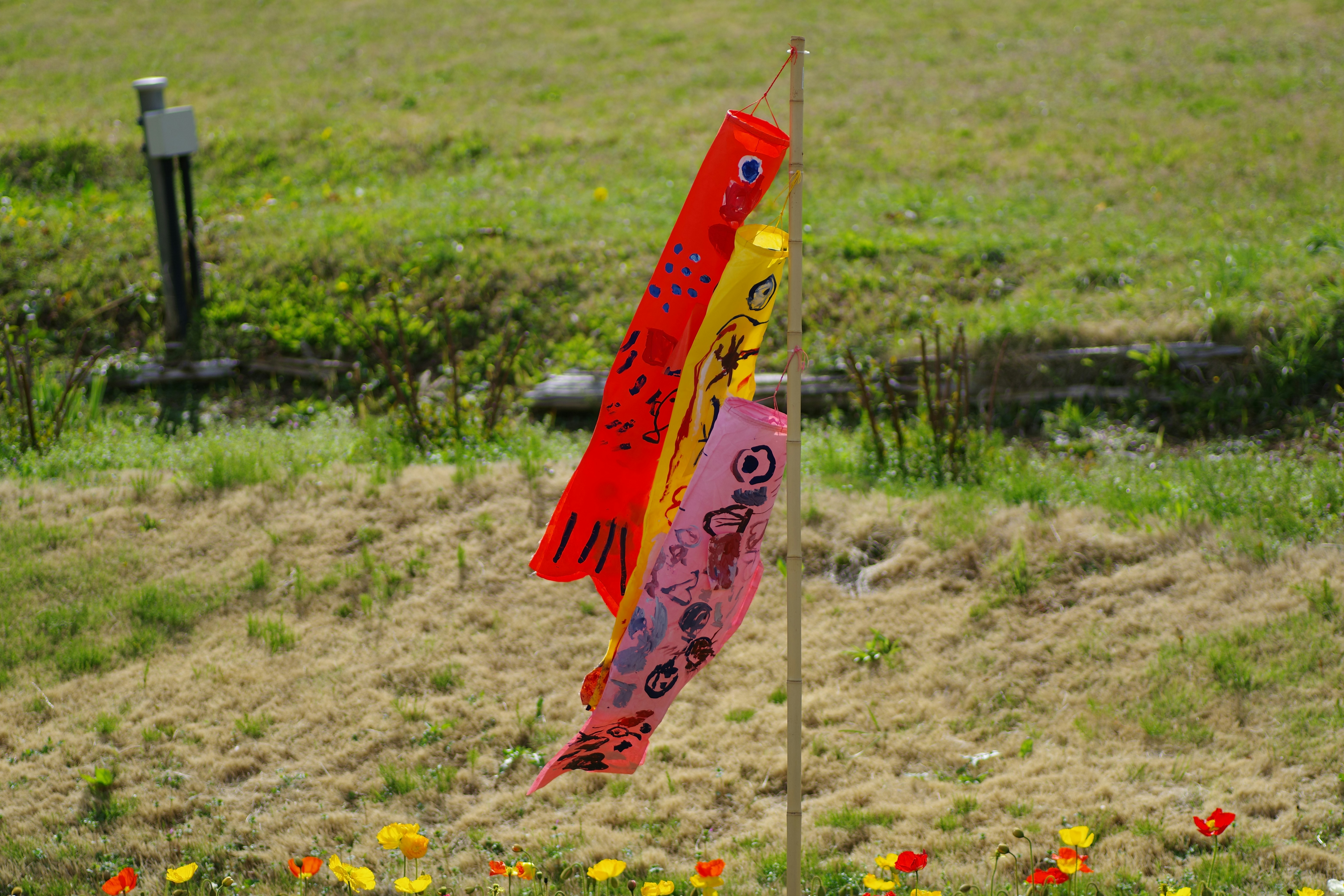 Koi Windsocks on a Slender Pole in a Sunlit Meadow