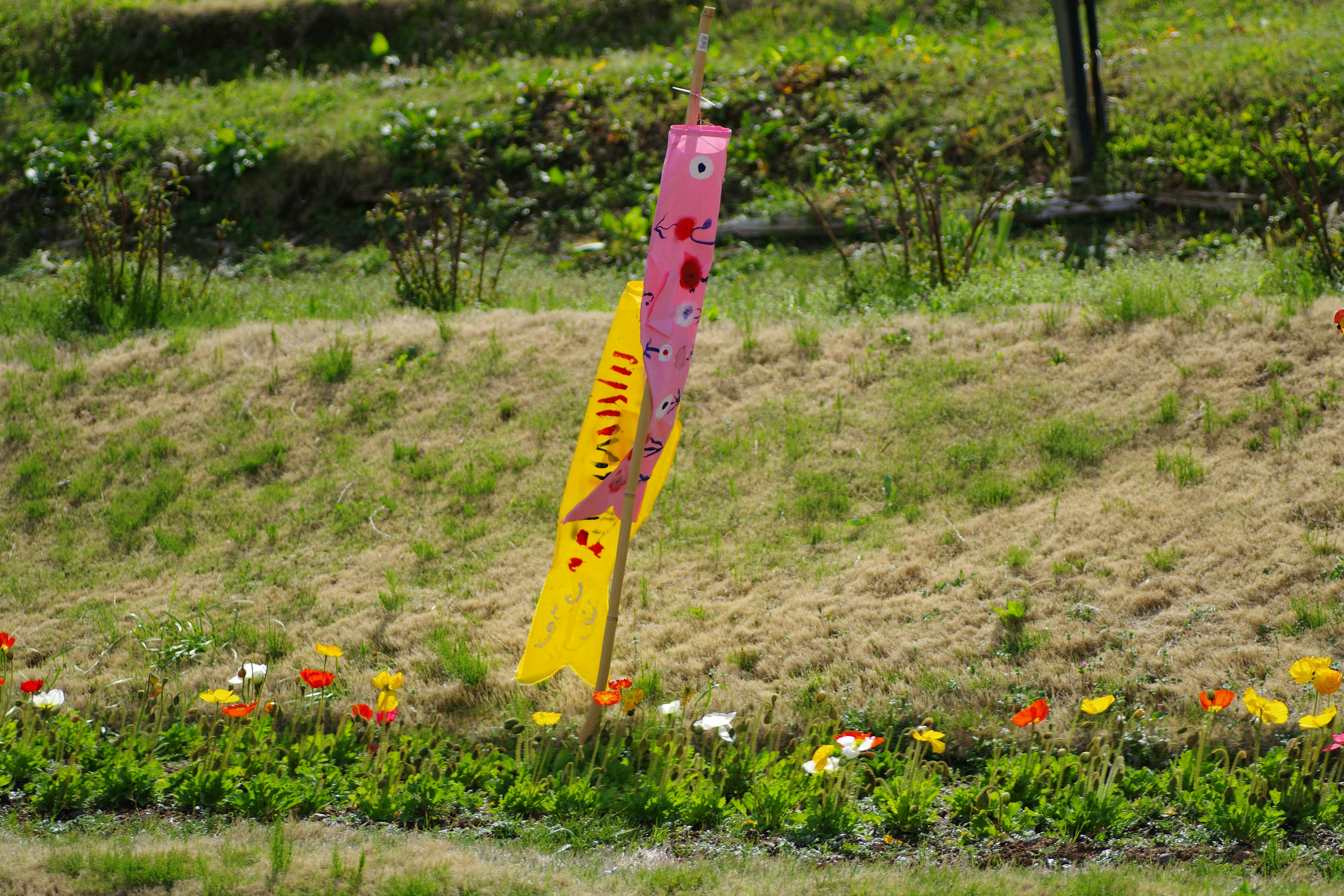 Pastel Tanabata Streamers Over a Spring Flower Border