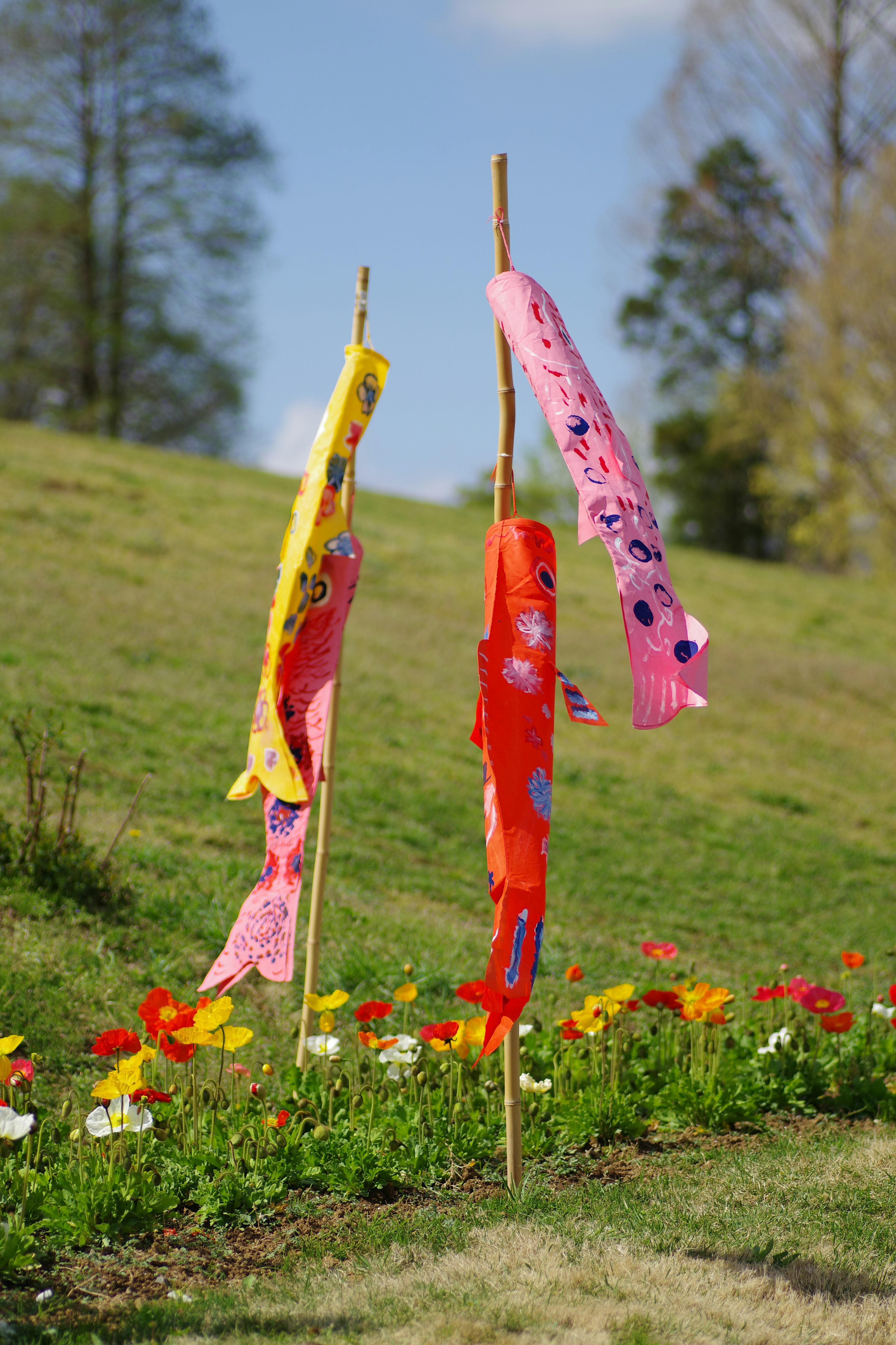 Ribbons on a Sunlit Hill: A Garden of Wind and Color