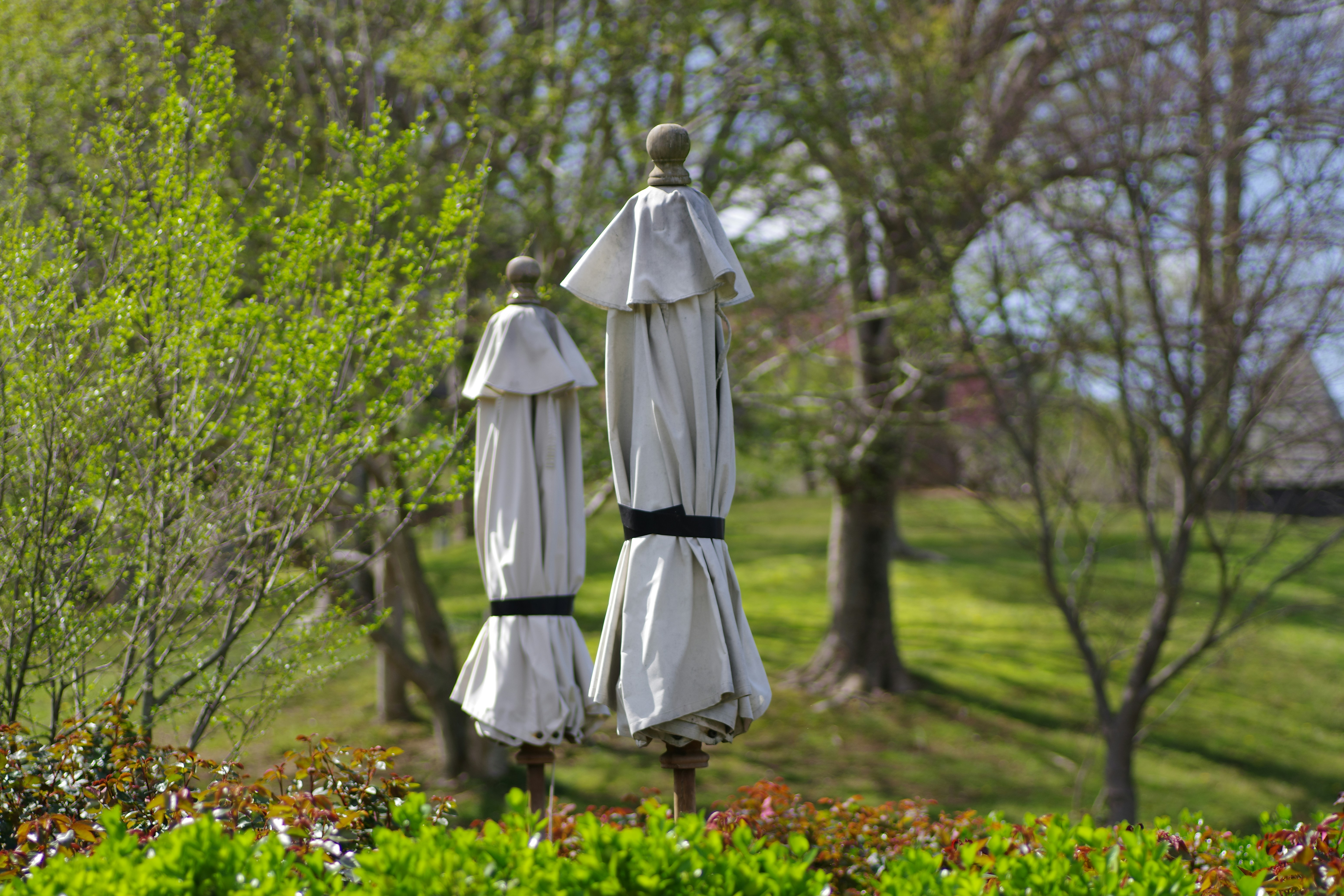 Two closed patio umbrellas stand gracefully against a backdrop of lush greenery and soft sunlight. The scene captures a serene moment in a garden setting.