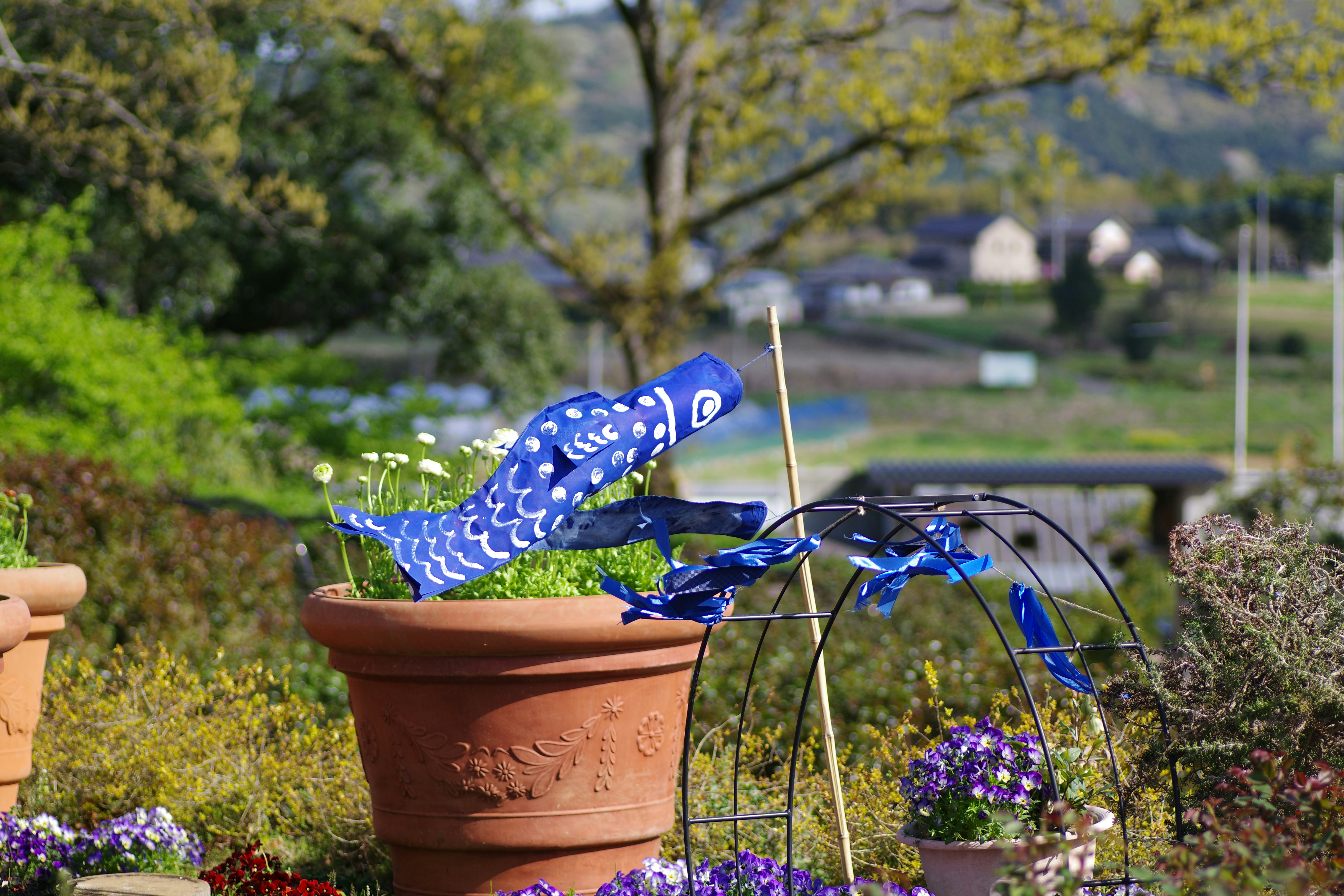 Blue Koi Wind-Sculpture Above a Terracotta Planter in a Blooming Garden