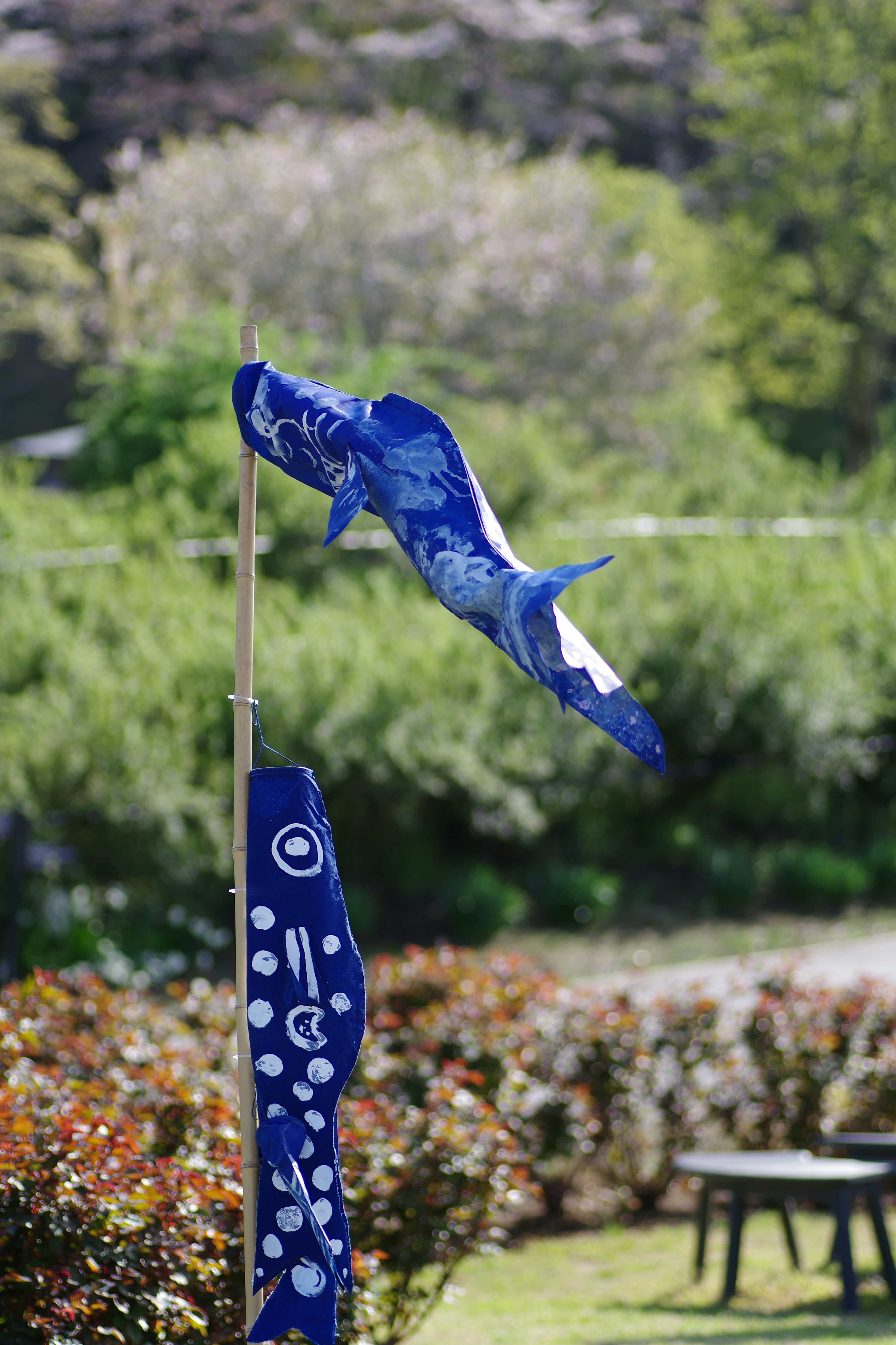 Colorful blue koi flags fluttering in the breeze against a backdrop of lush greenery. The flags symbolize celebration and joy.