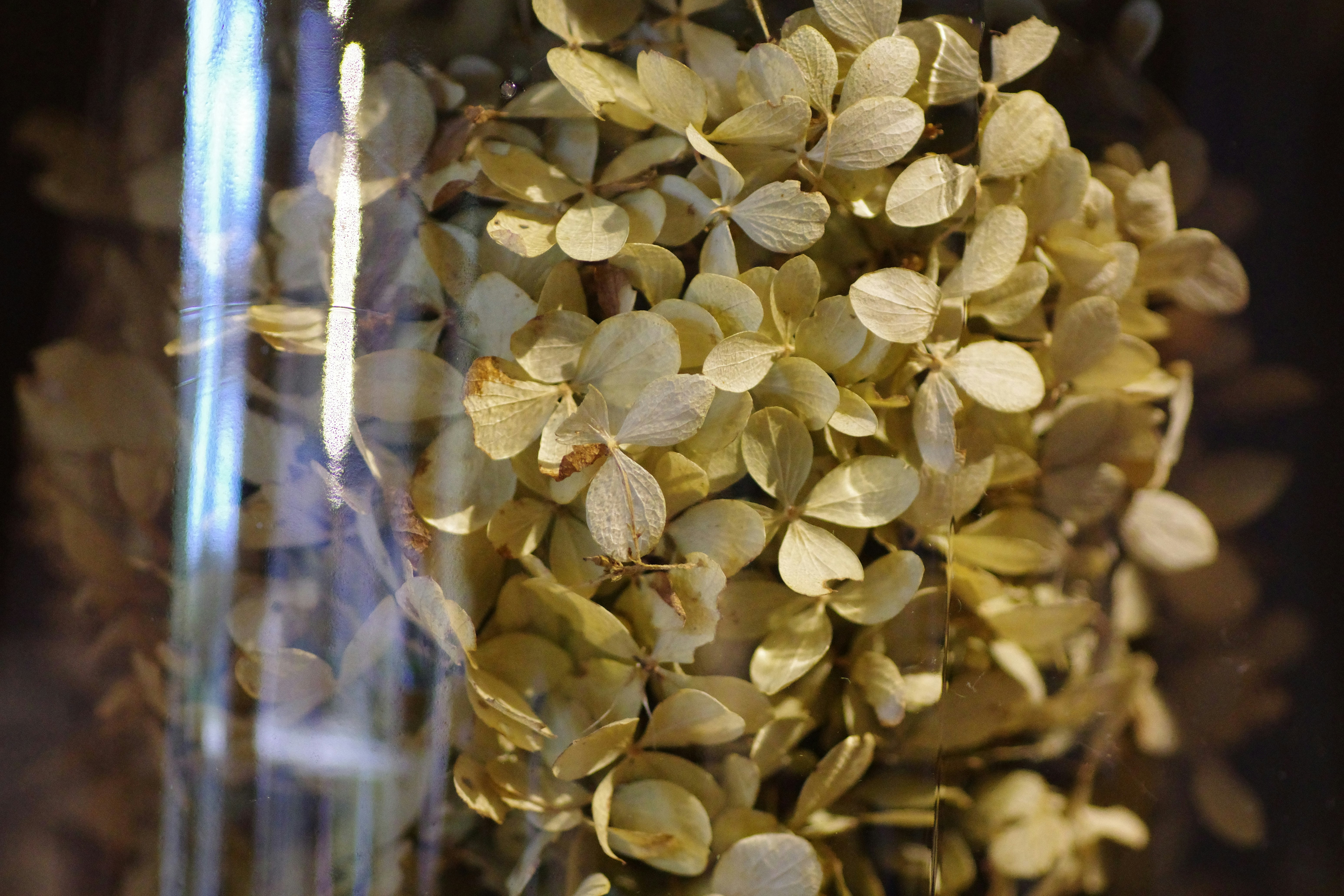 Beautiful green and flower garden、新緑と美しい花が織りなす絶景 A superb view of fresh greenery and beautiful flowersNaoki Suzuki