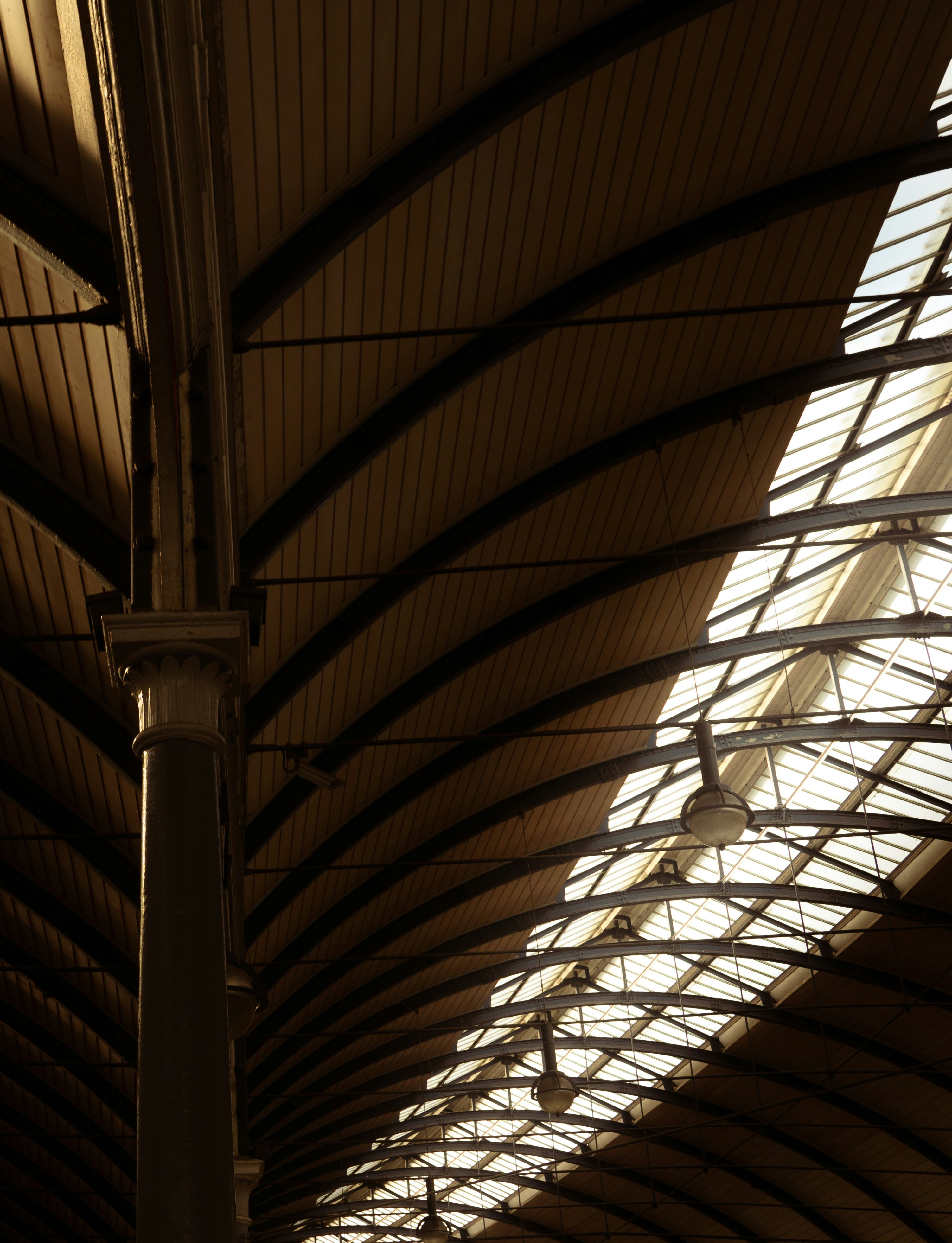 Photo by Carl Kokah with SONY ZV-E10