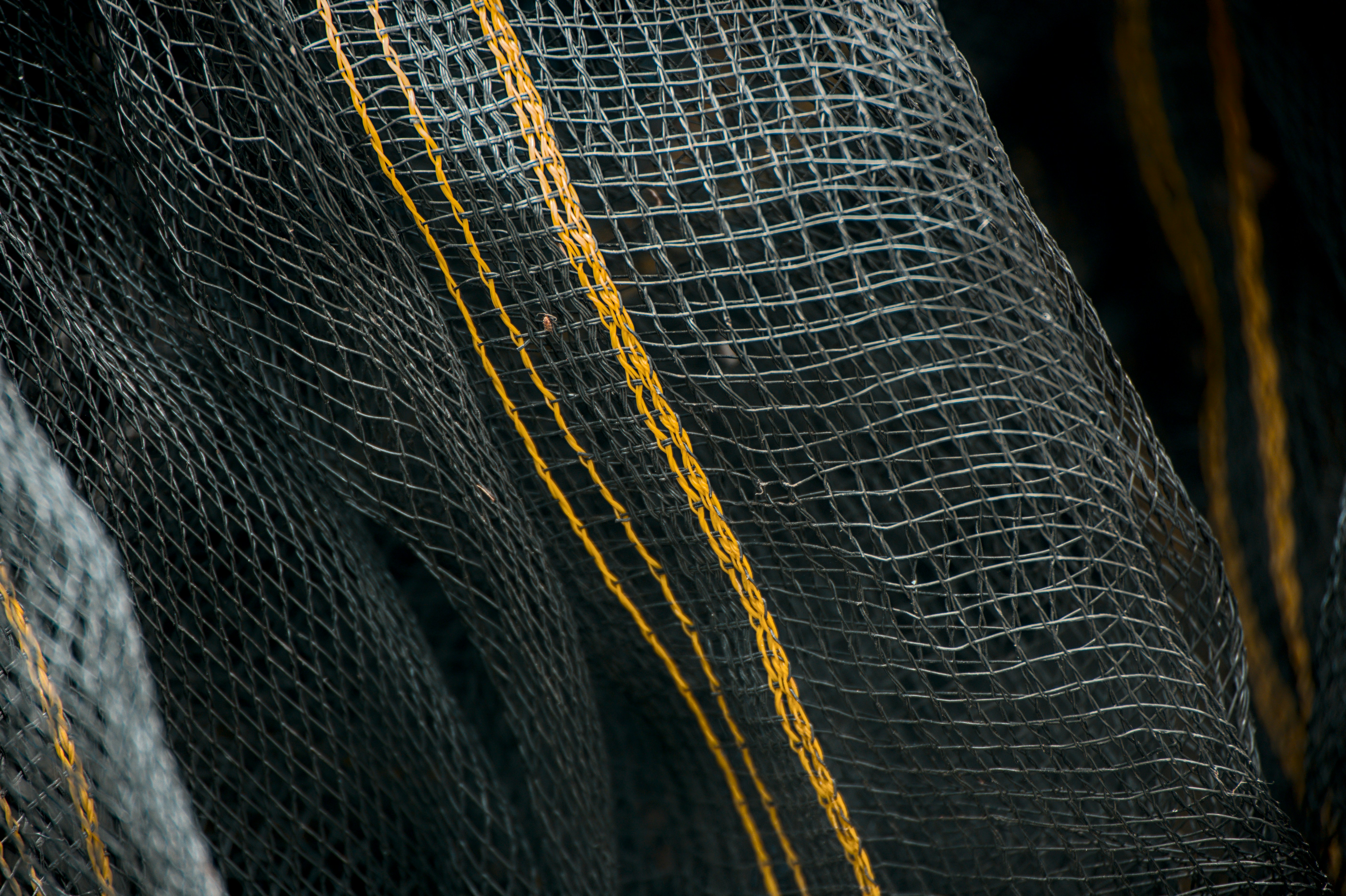 Close-up shows black mesh with golden strings. photo – Free Abstract ...