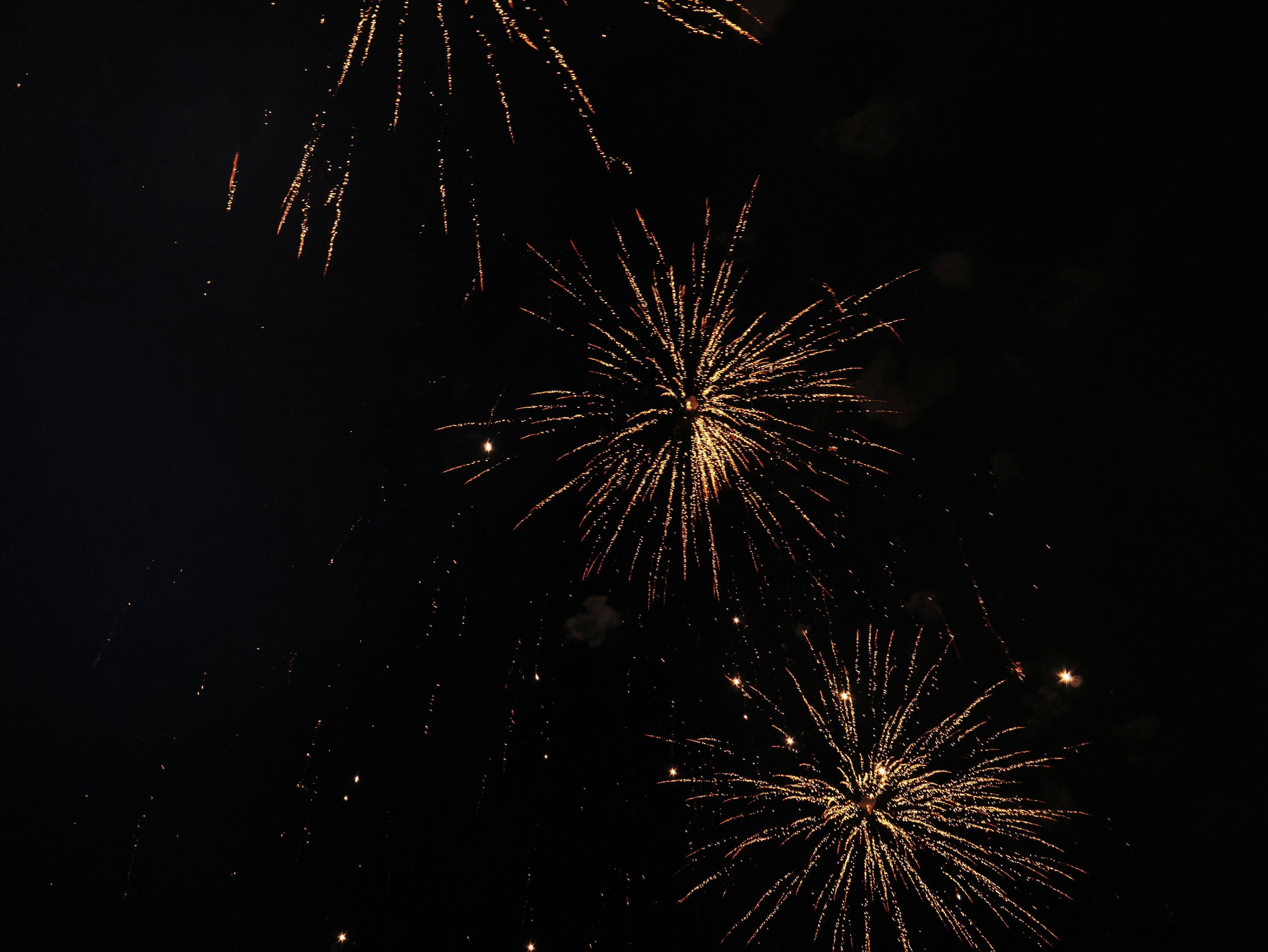 Fireworks illuminate the dark night sky.