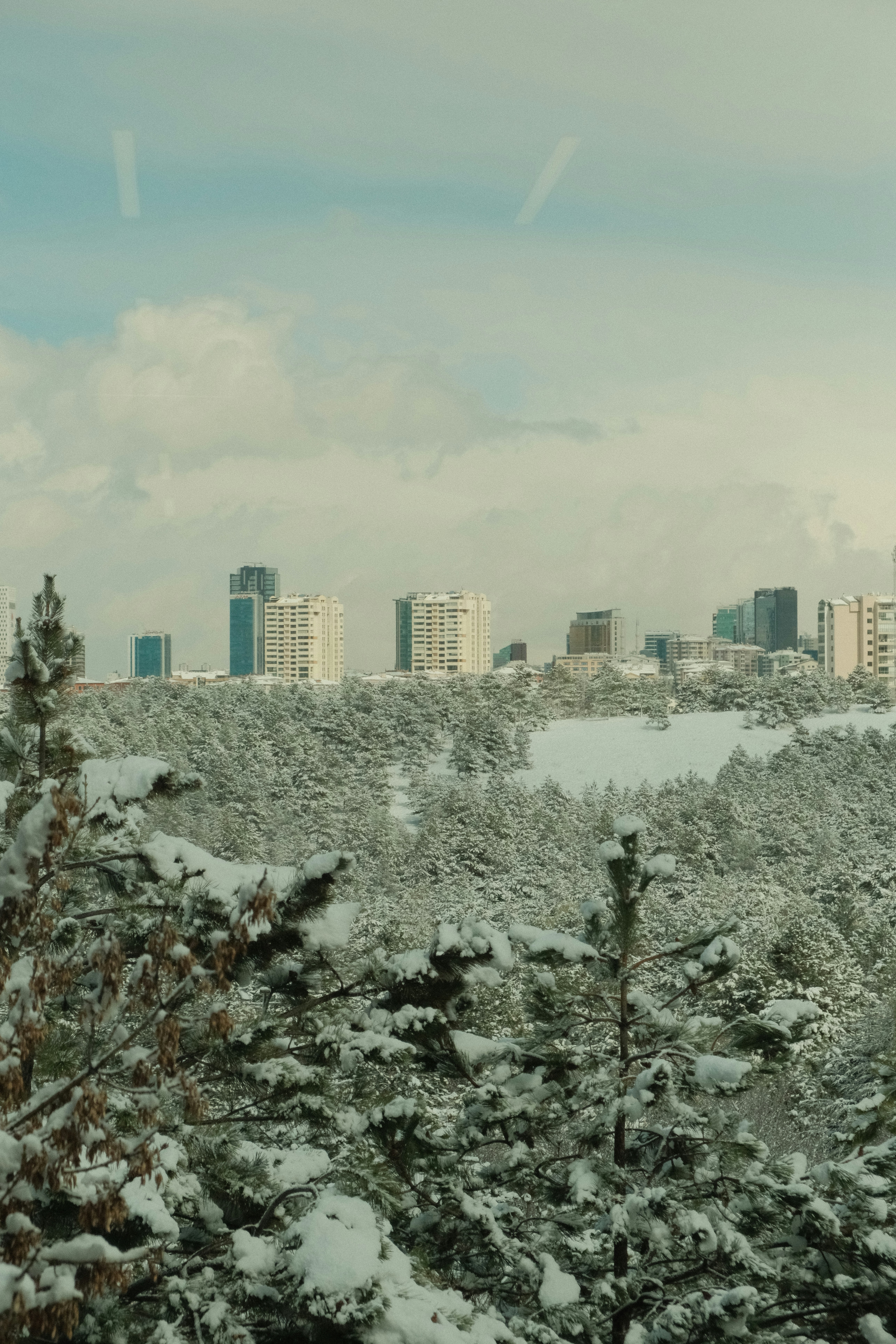 Urban Oasis: Snow-Capped Serenity Meets Cityscape