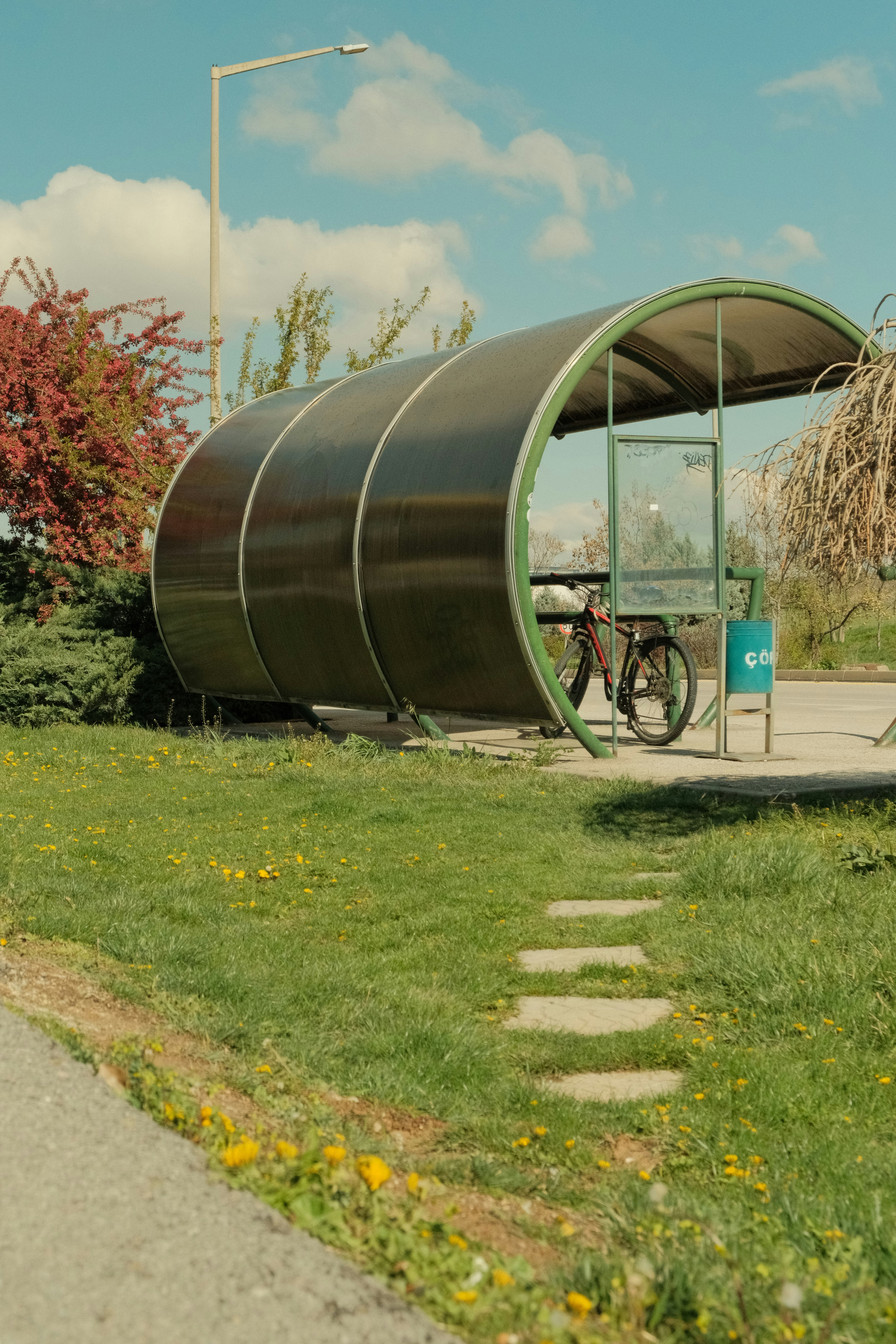 Curved Shelter, Quiet Bicycle: A Sunlit Pause at the Park Stop