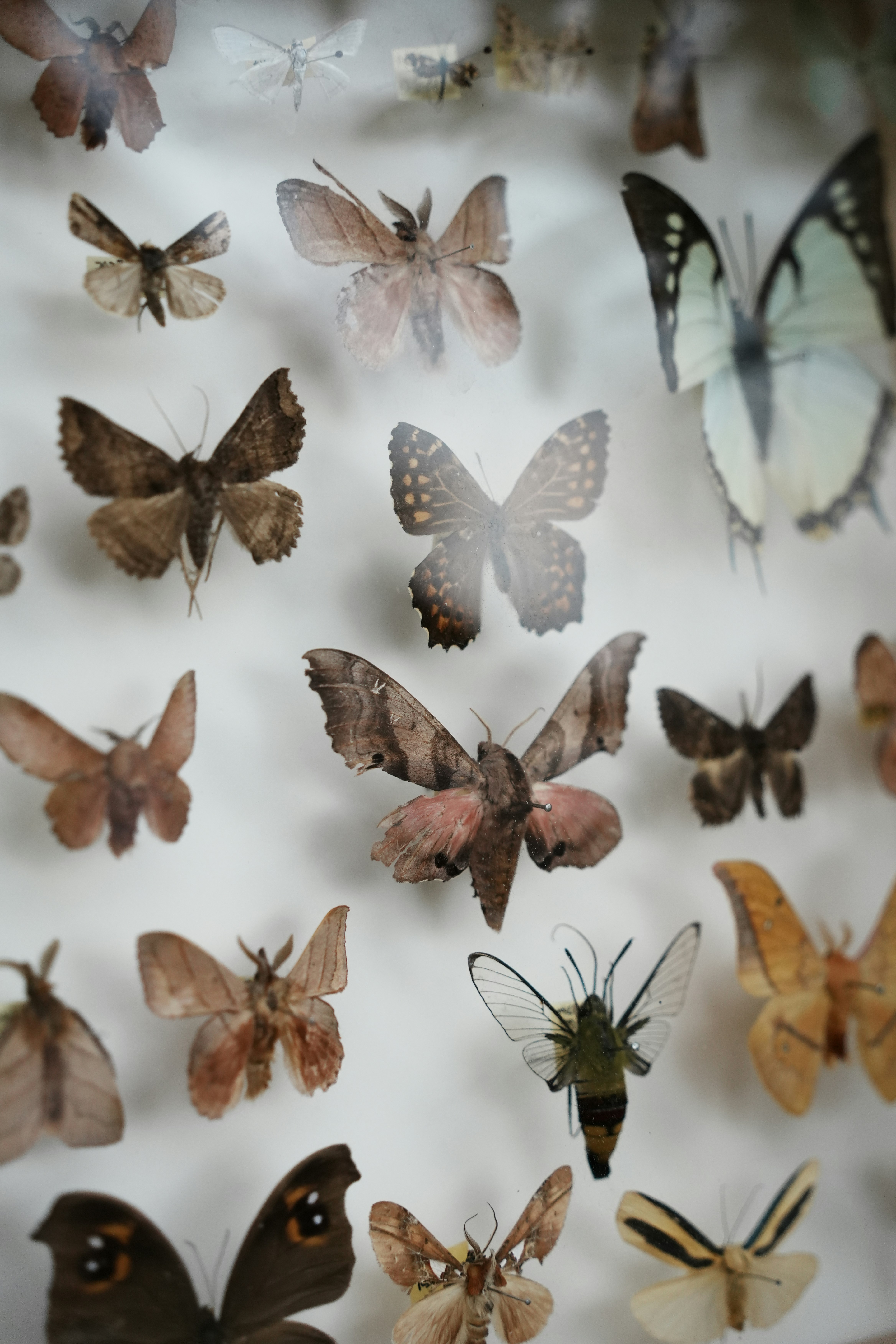 Photo by Garry RY with Sony Alpha 7 IV