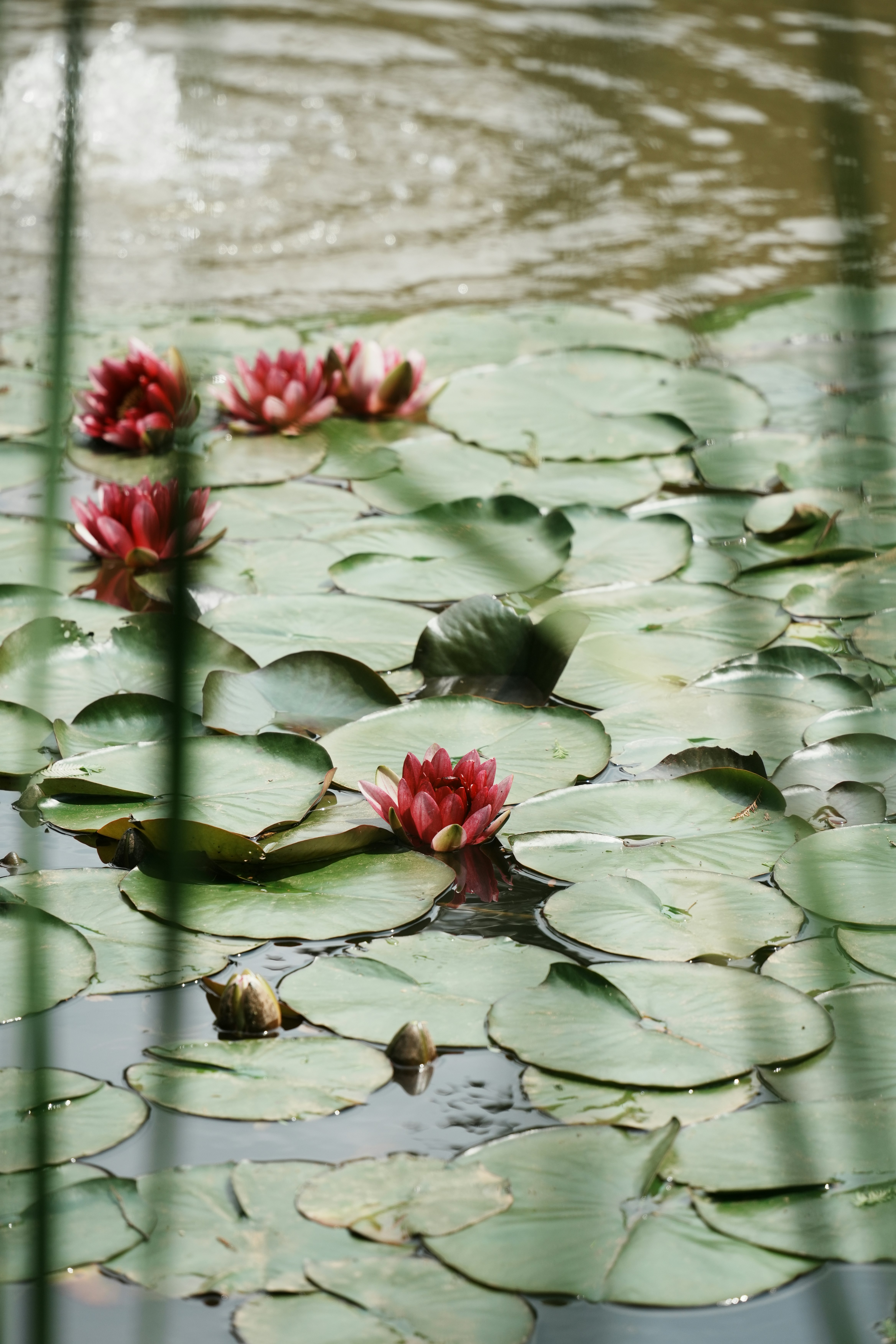 Photo by Garry RY with Sony Alpha 7 IV