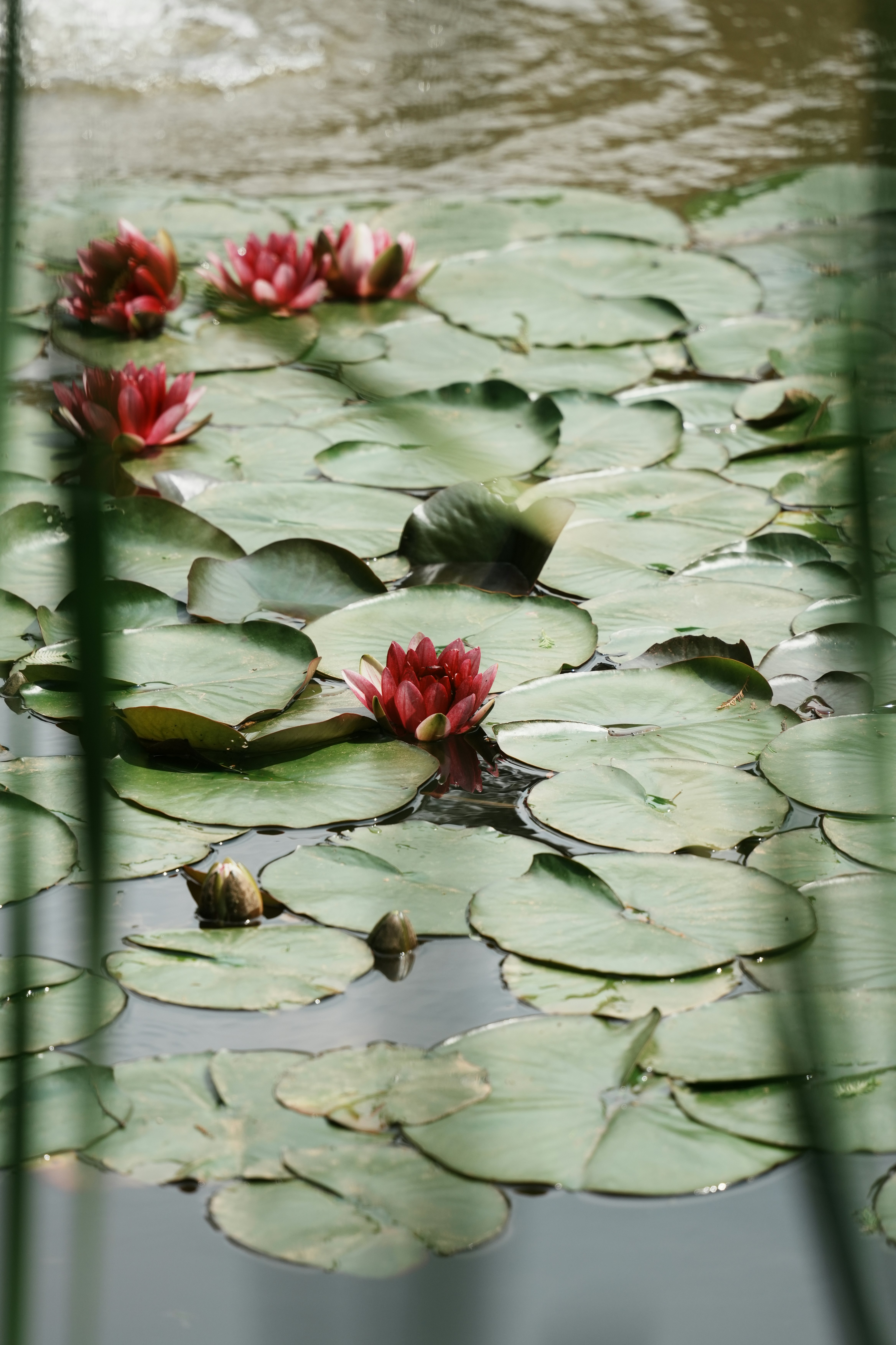 4k Wallpaper Nature Pictures | Download Free Images on Unsplash