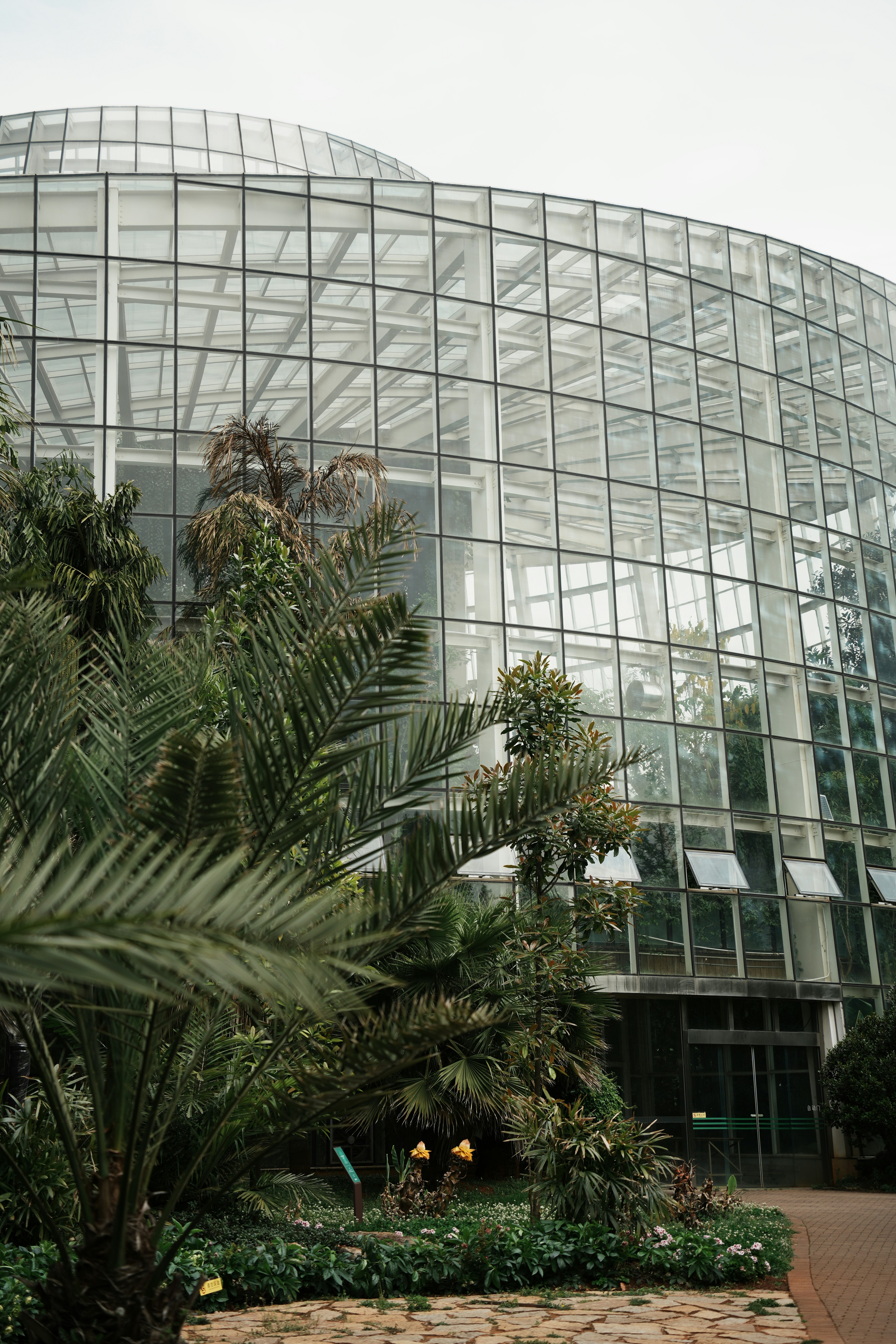 Curved Glass Conservatory Framed by Tropical Foliage