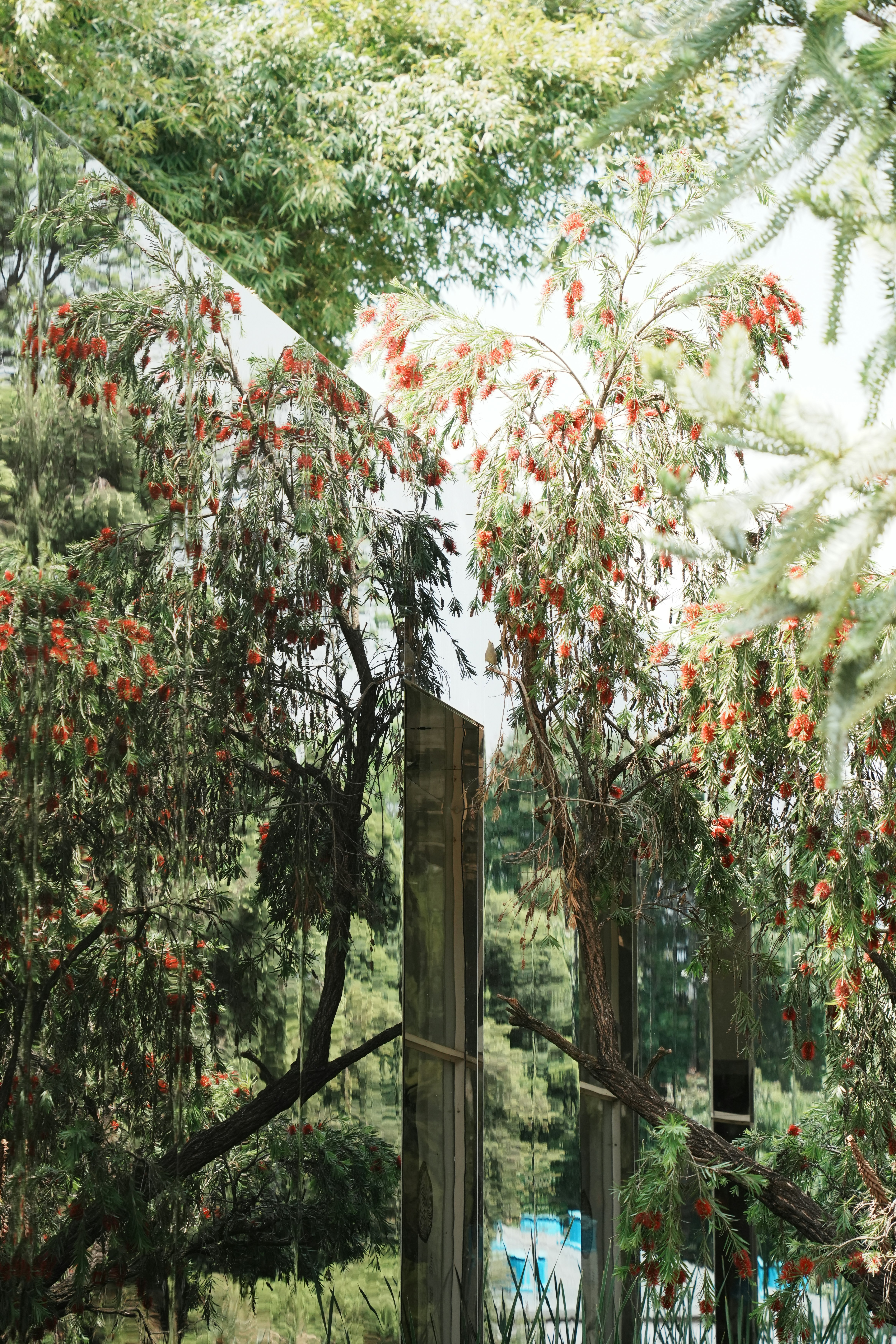 Photo by Garry RY with Sony Alpha 7 IV