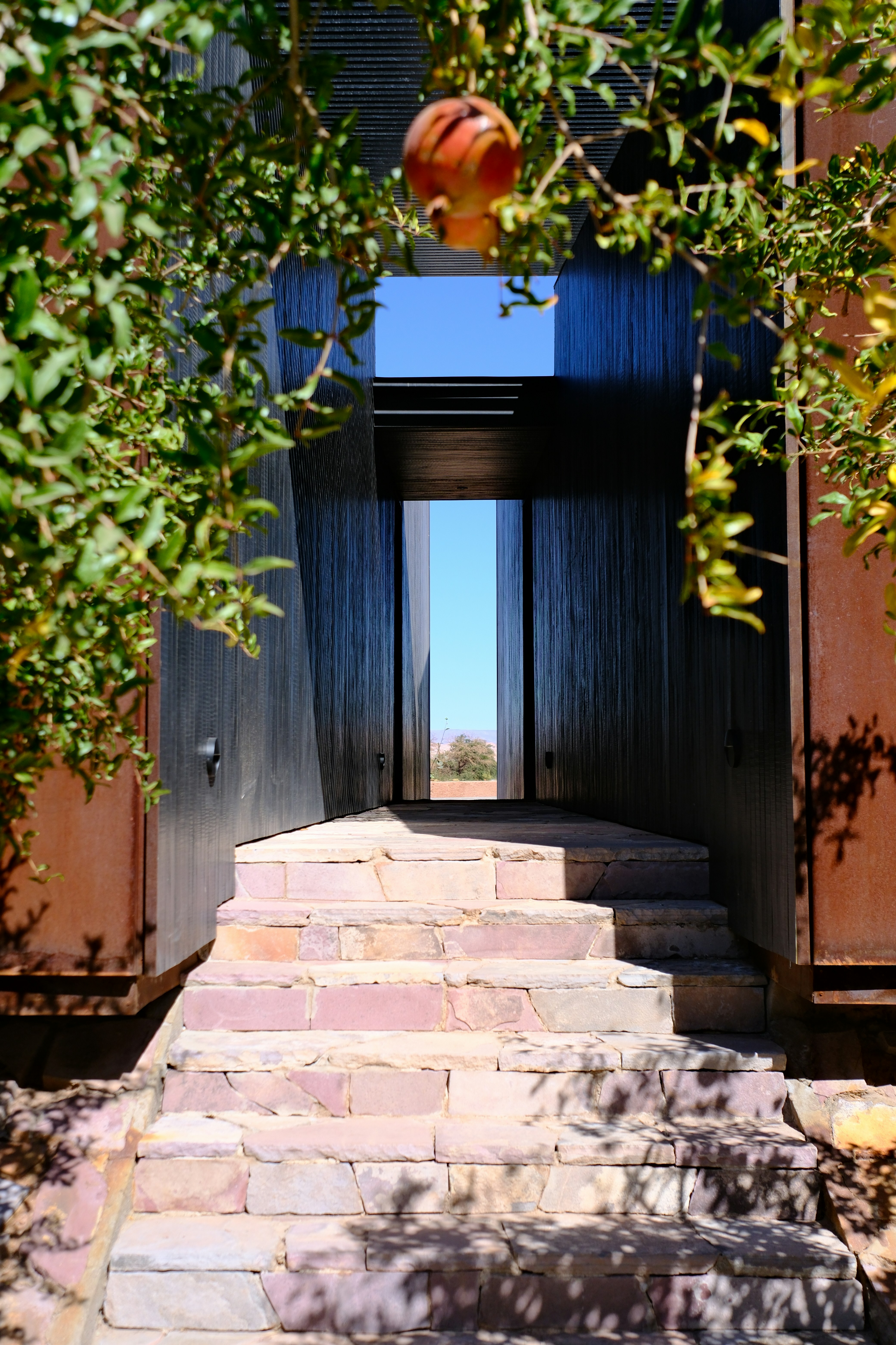 Staircase to the Sky: A Narrow Portal Framed by Shadow and Greenery